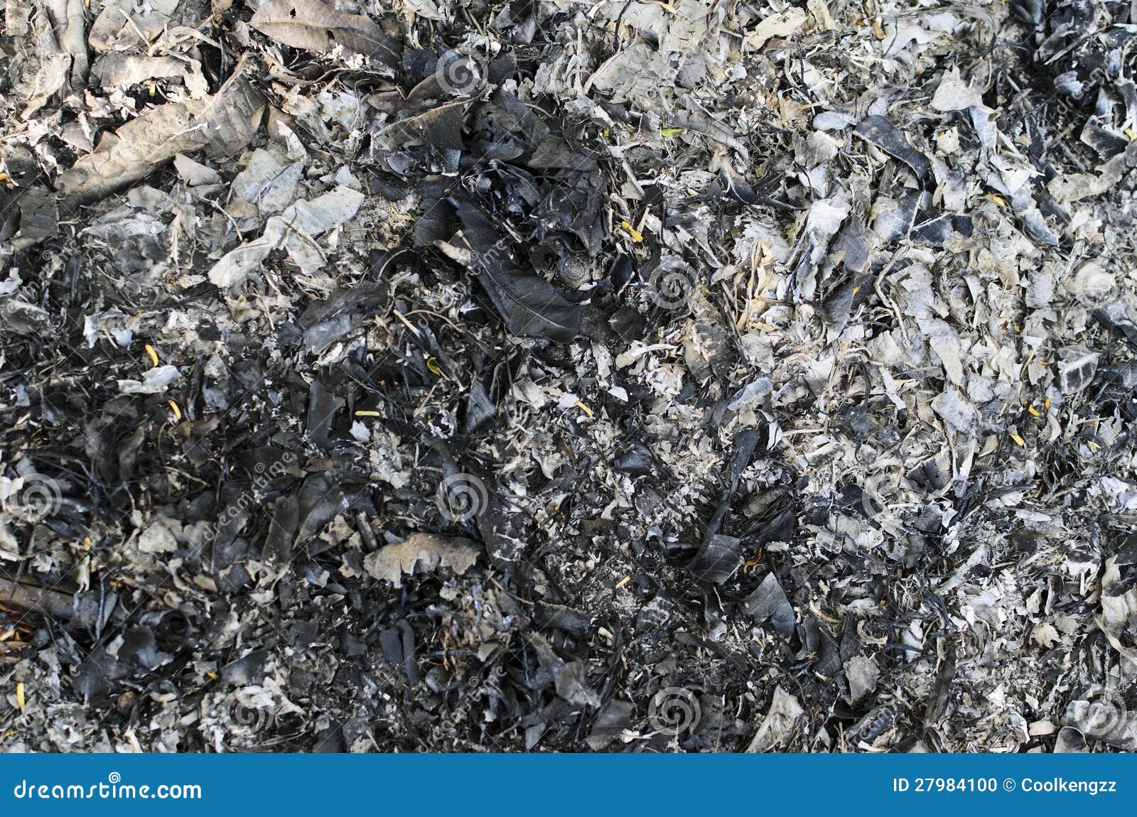 Eine Gruppe Asche stockfoto. Bild von kraftstoff, schmutzig - 27984100