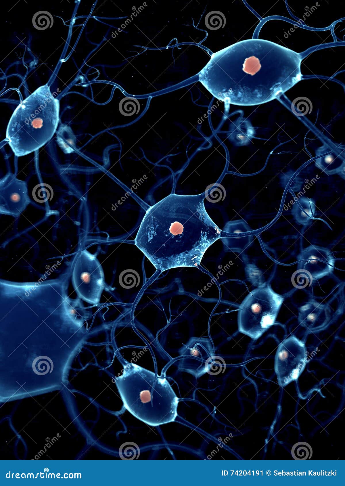 Eine Nervenzelle stock abbildung. Illustration von anatomie - 74204191