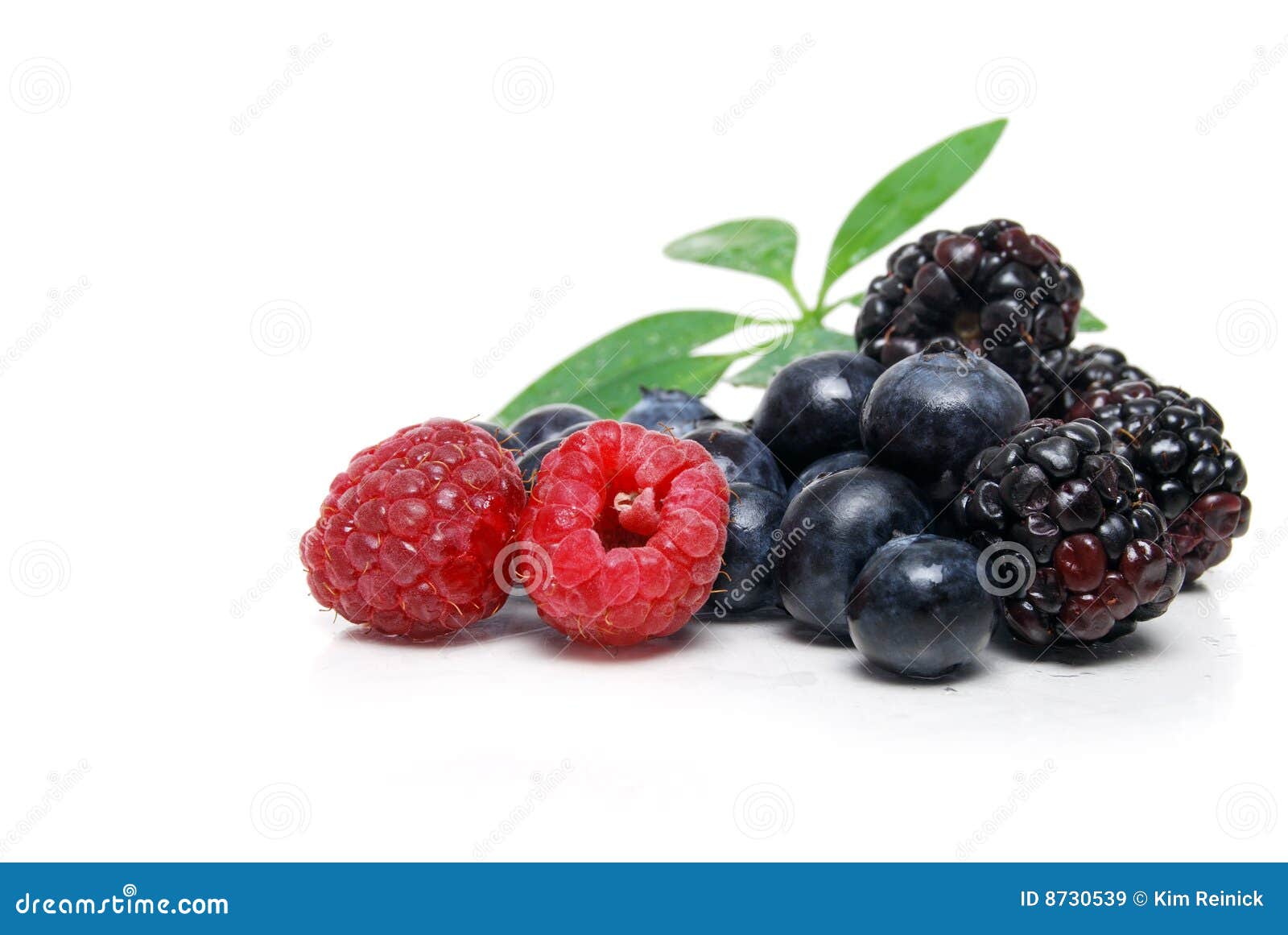 Einige Beeren stockbild. Bild von gesundheit, frisch, bunt - 8730539
