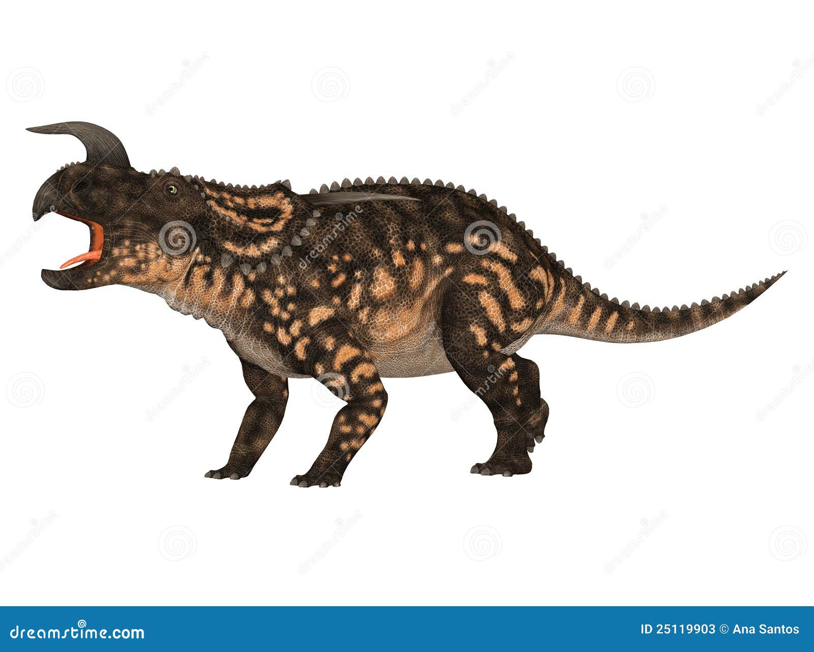 Einiosaurus stock illustration. Illustration of dinosauria - 25119903