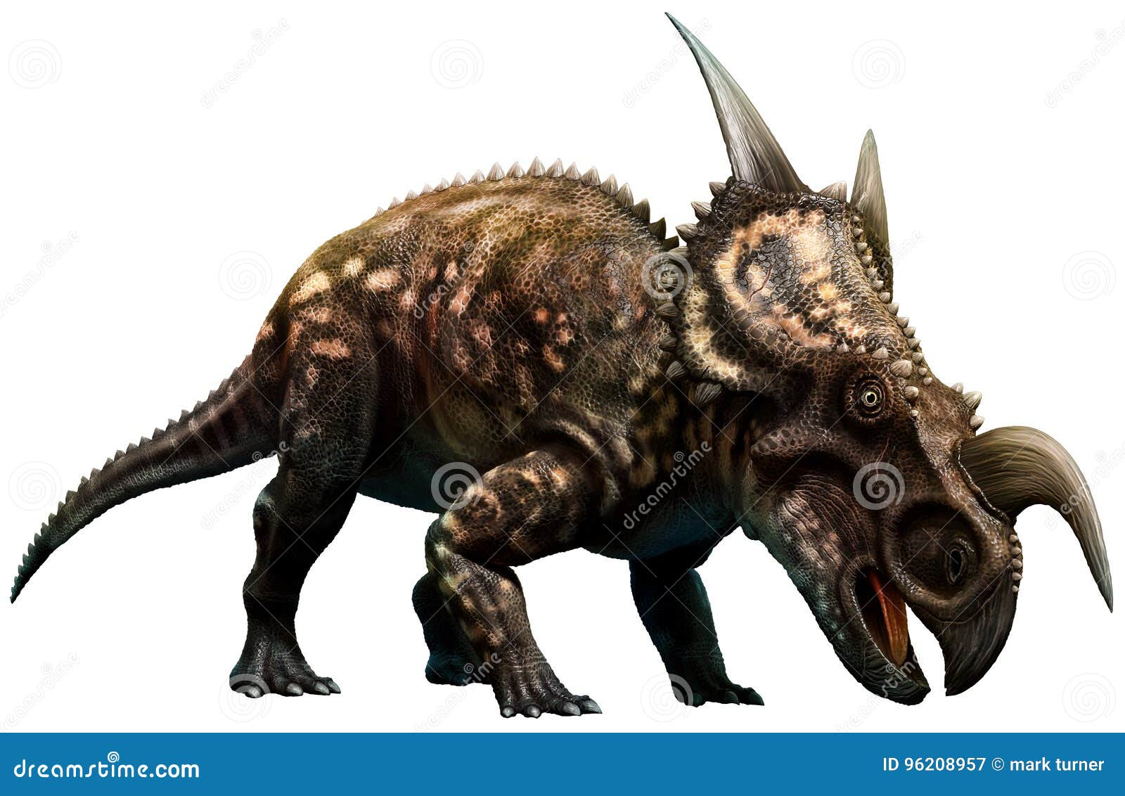 Einiosaurus stock illustration. Illustration of cretaceous - 96208957