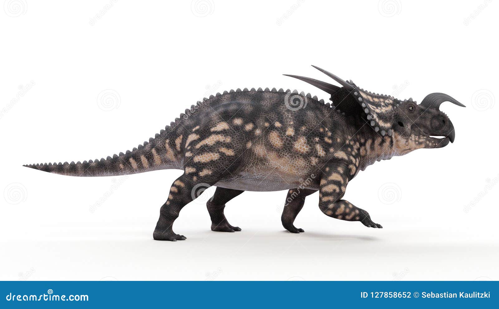 A Einiosaurus stock illustration. Illustration of rendering - 127858652