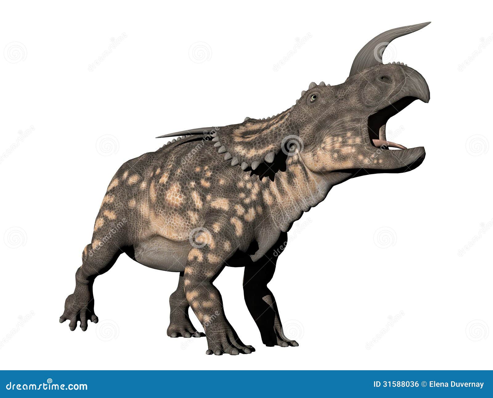 Einiosaurus Dinosaur - 3D Render Stock Illustration - Illustration of ...