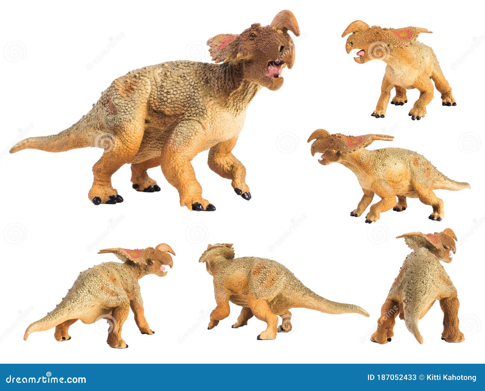 Einiosaurus Dinosaur on White Background Stock Image - Image of ...