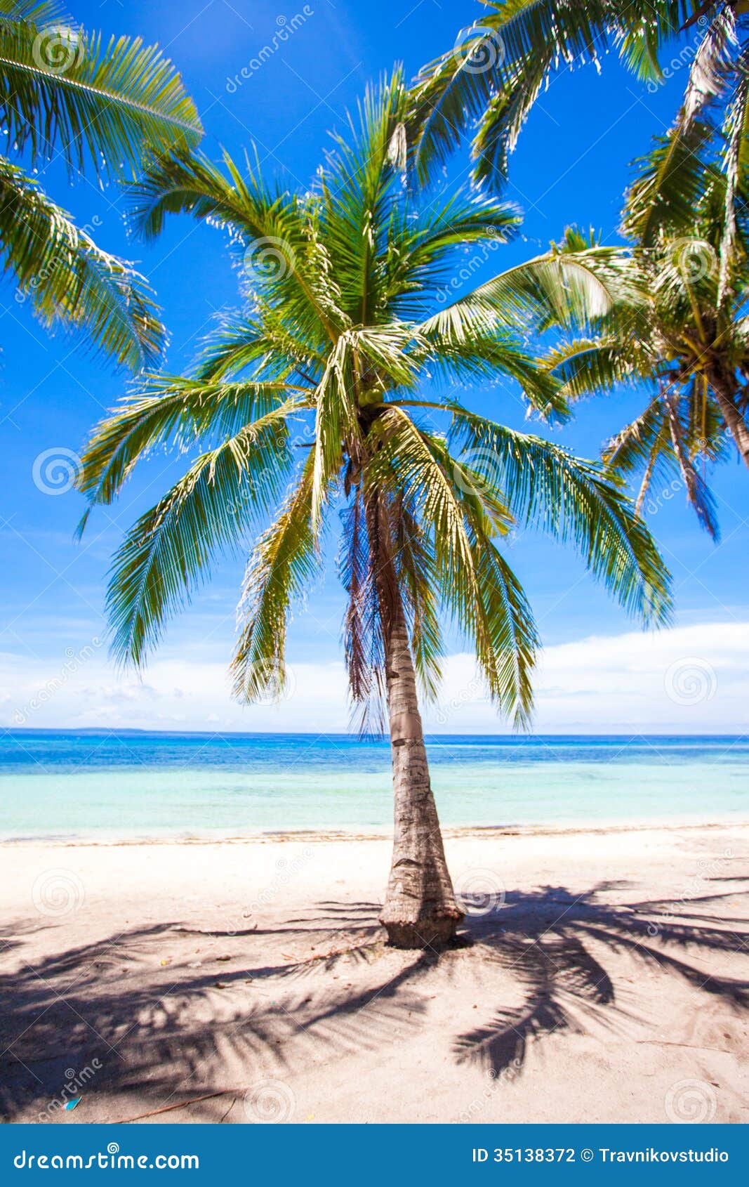 Einsame Insel Mit Palme Auf Dem Strand Stockfoto - Bild von grün ...