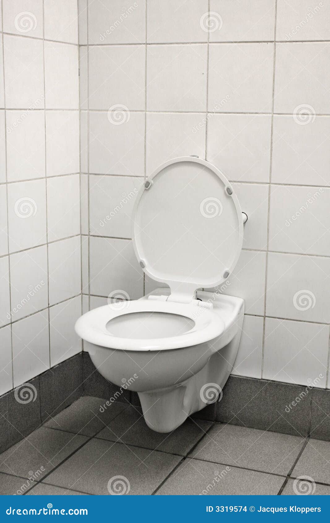 Einsames altes Klo stockfoto. Bild von toilette, einzeln - 3319574