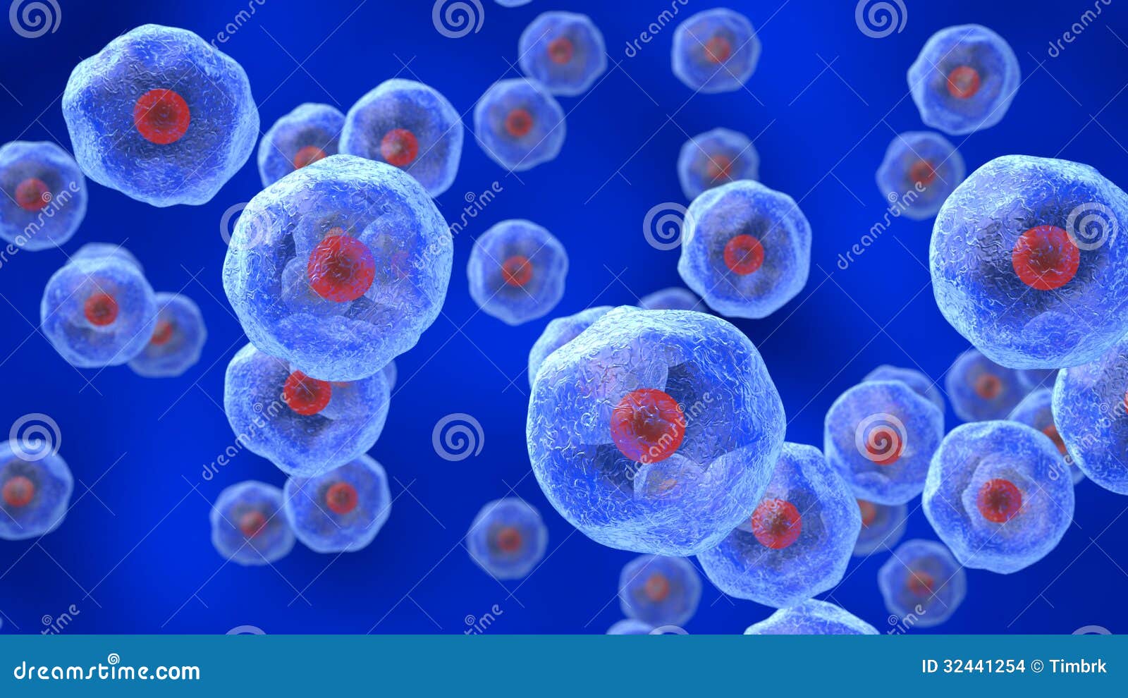 Einzellige Organismen stock abbildung. Illustration von biologie - 32441254