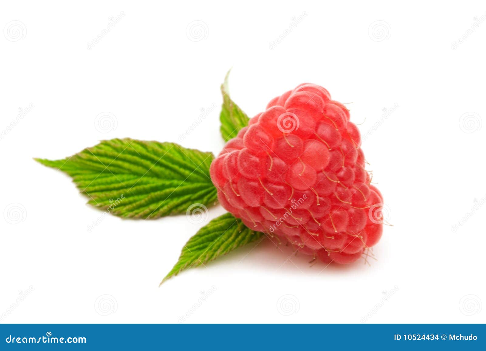 Einzelne Himbeere Archivbilder - Abgabe des Download-246 geben Fotos frei