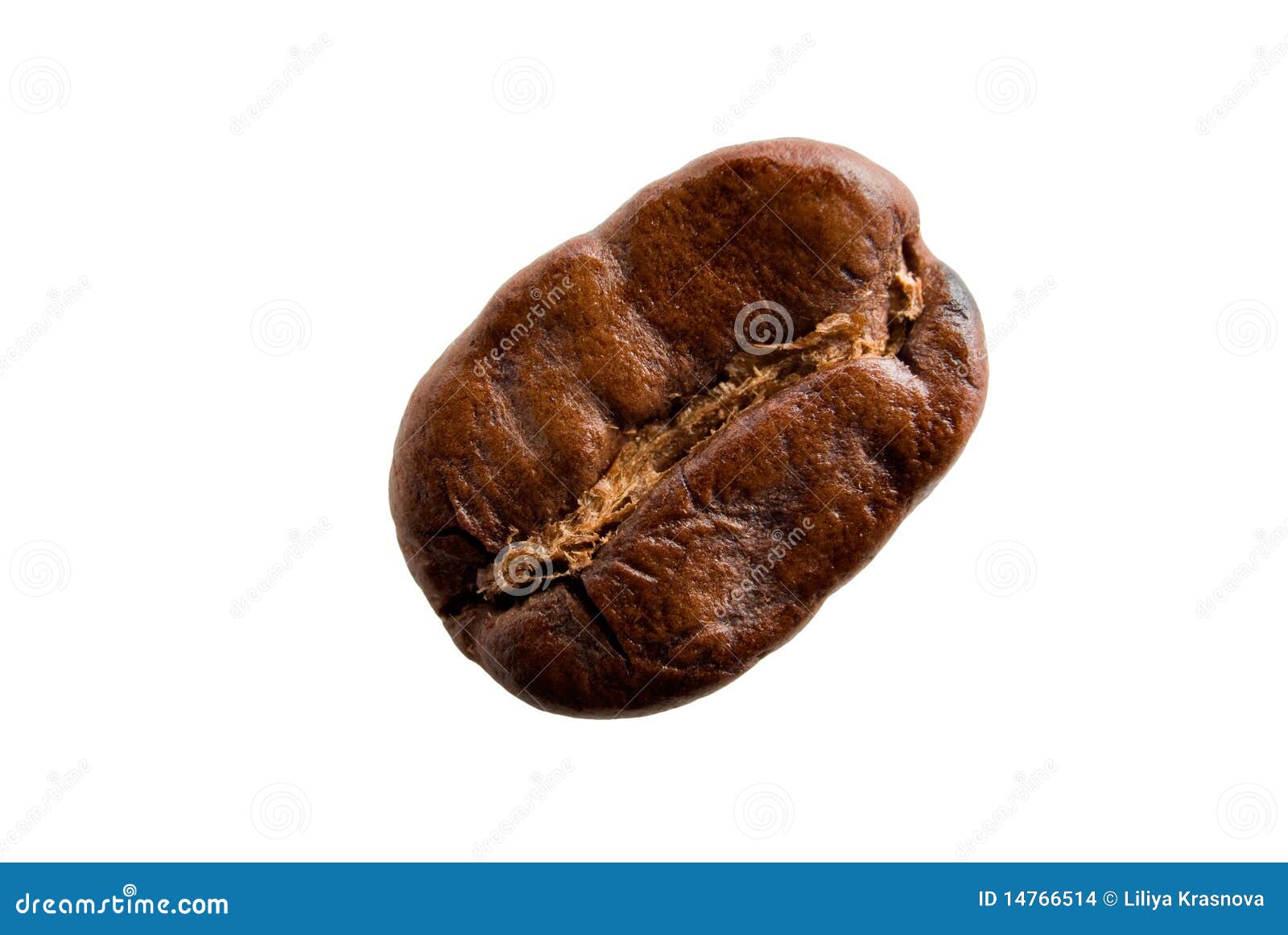 Einzelne Kaffeebohne stockfoto. Bild von nave, koffein - 14766514