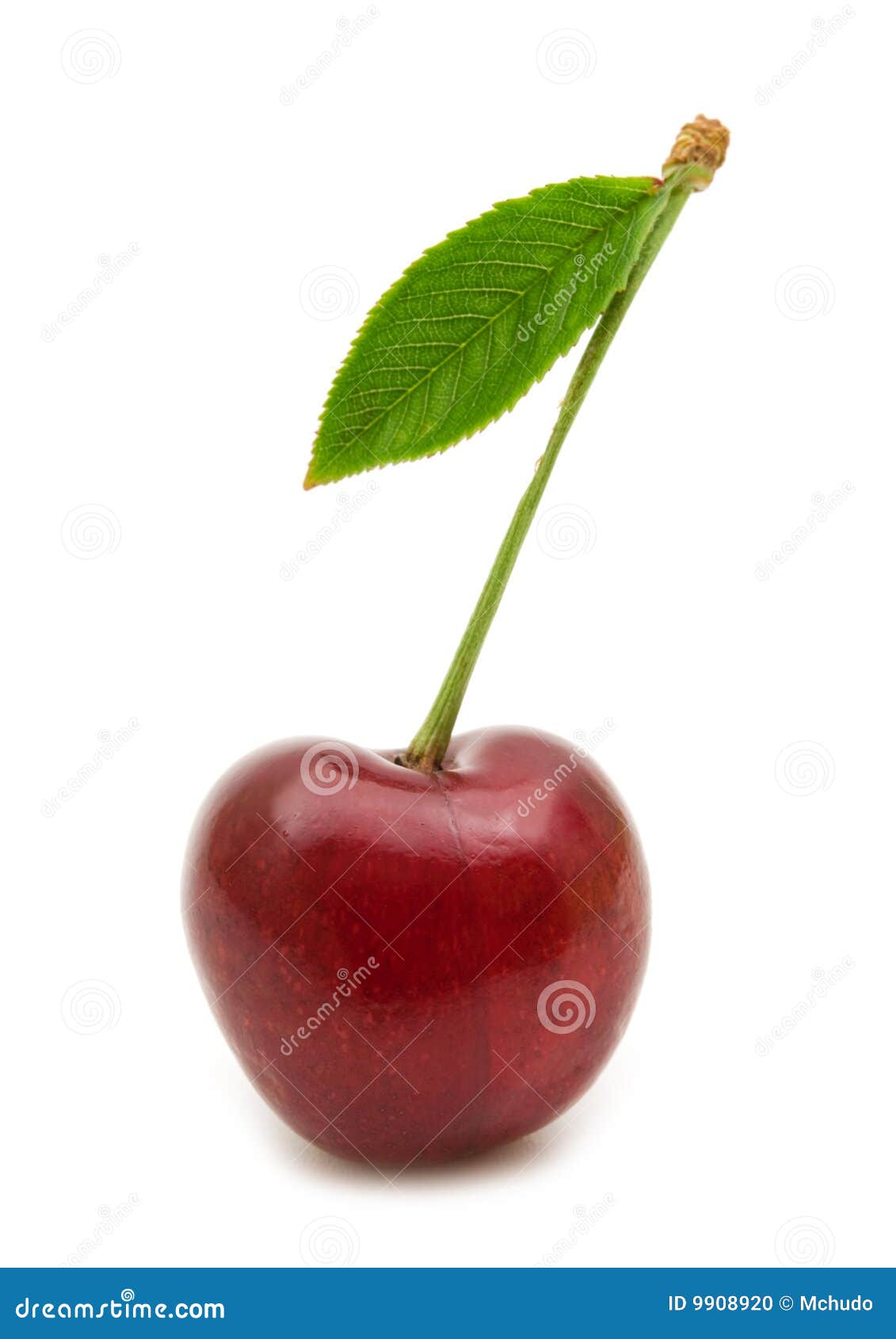 Einzelne Kirsche stockfoto. Bild von frucht, nachtisch - 9908920