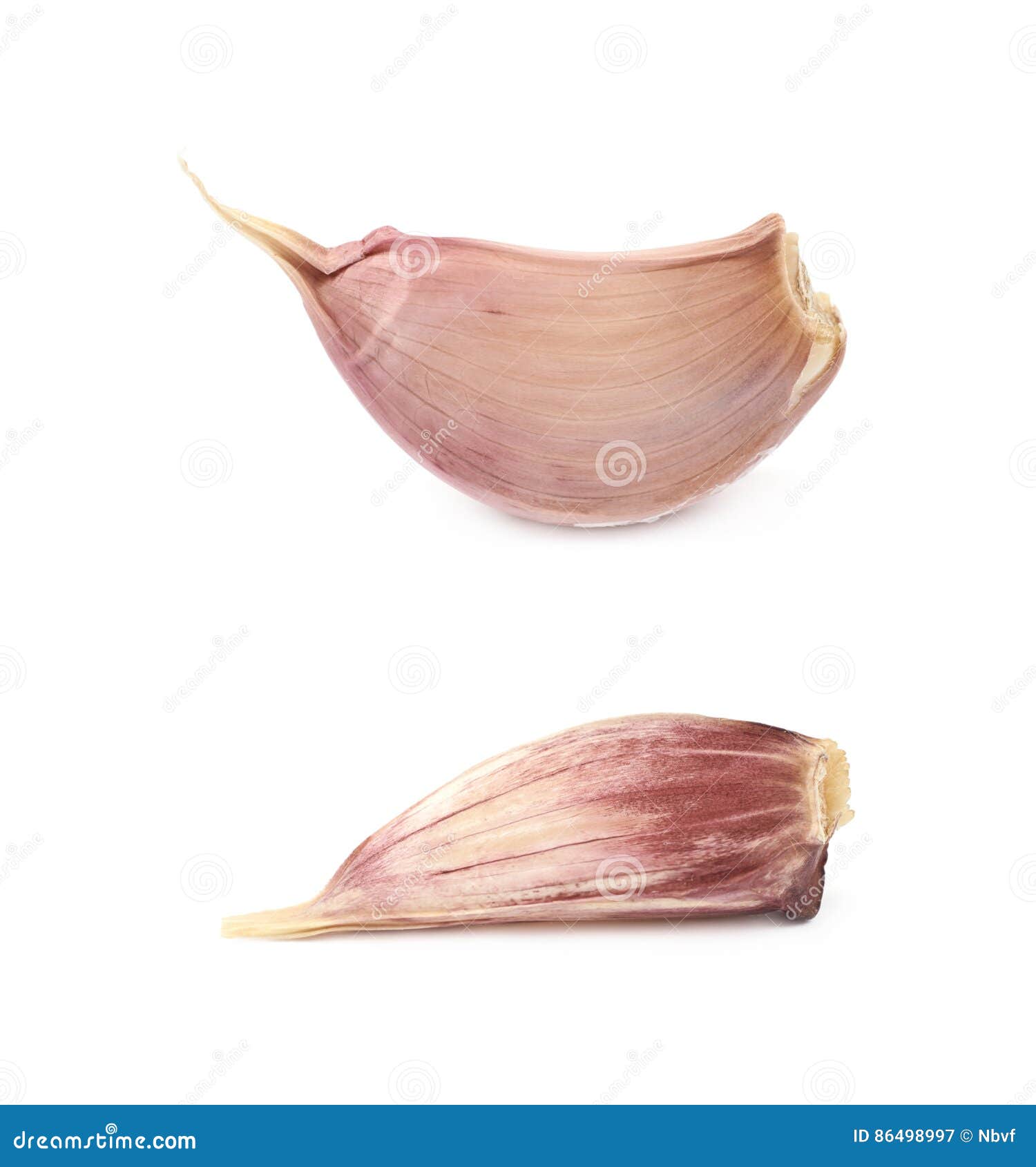 Einzelne Knoblauchzehe Lokalisiert Stockbild - Bild von aromatisch ...