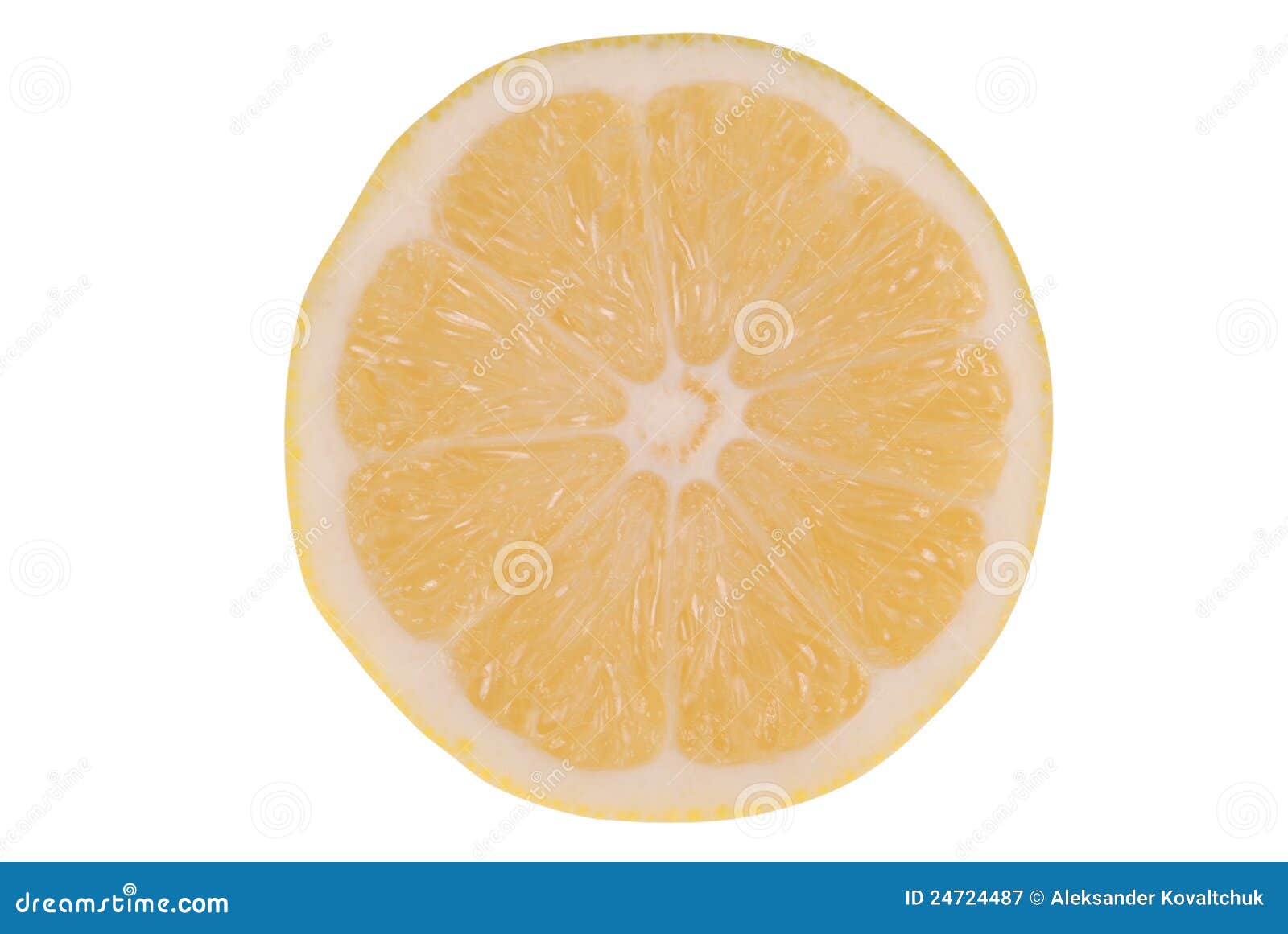 Einzelne Scheibe Der Zitrone Stockbild - Bild von reif, frucht: 24724487