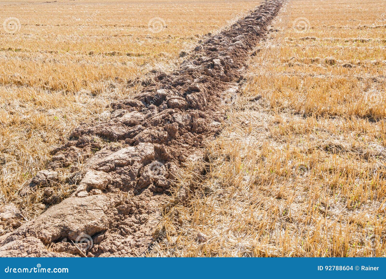 Einzige Furche stockfoto. Bild von reihen, ernten, tageszeit - 92788604