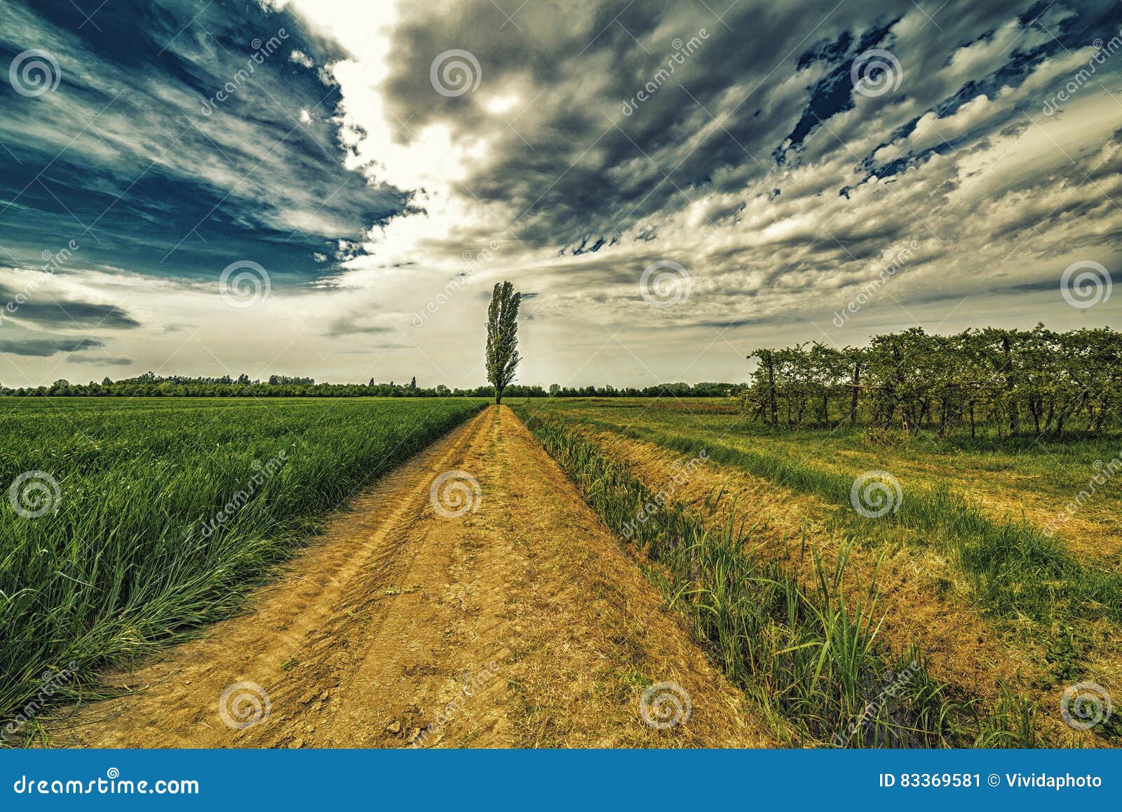 Baum Im Wind Stockfotos und Bilder - Laden Sie 19,721 lizenzfreie Fotos ...
