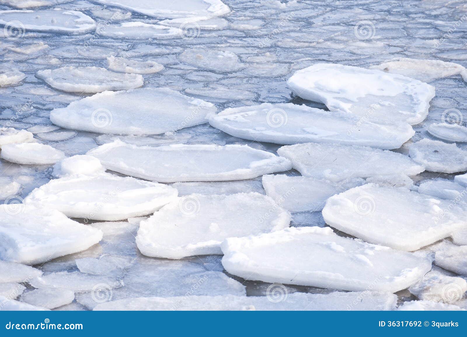 Eisschollen stockfoto. Bild von winterlich, eisig, meer - 36317692
