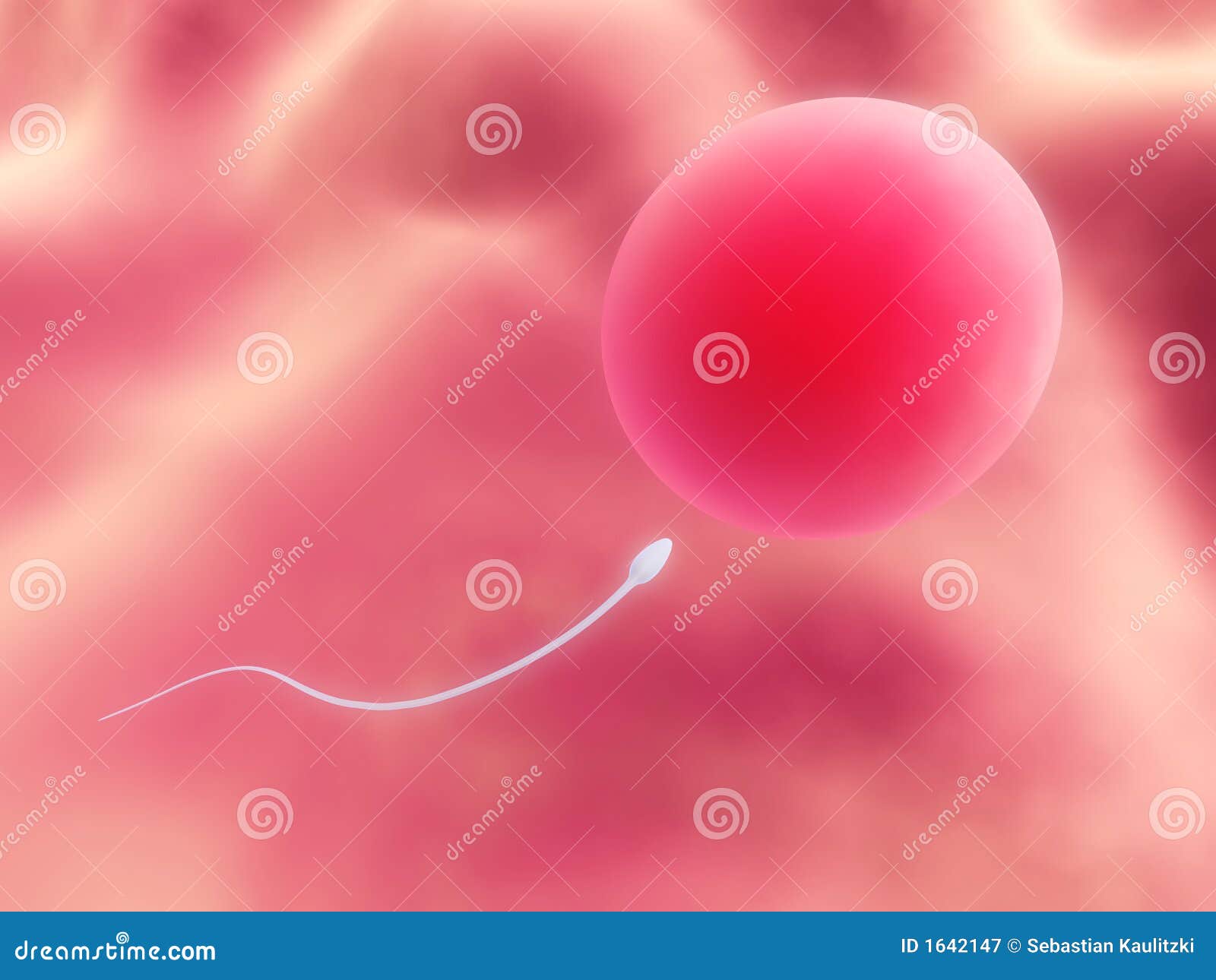 Eizelle mit Samenzellen stock abbildung. Illustration von ...