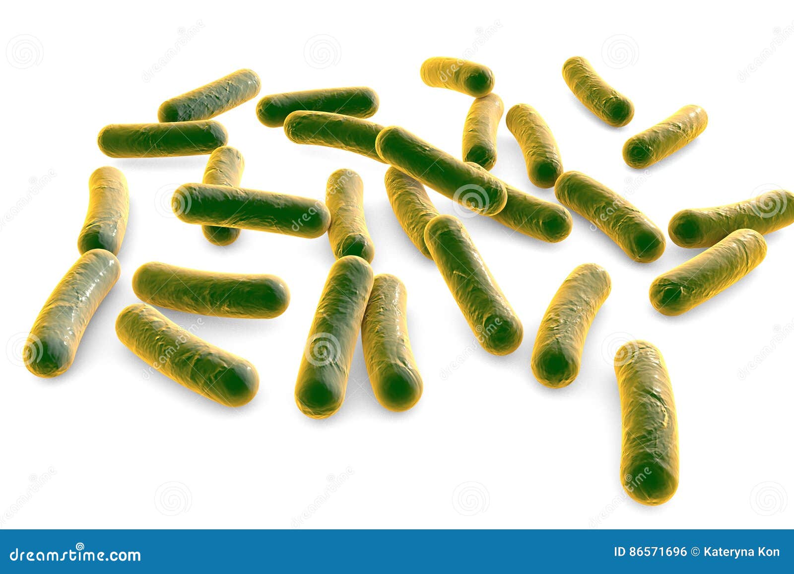 Ejemplo Barra-formado De Las Bacterias Stock de ilustración ...