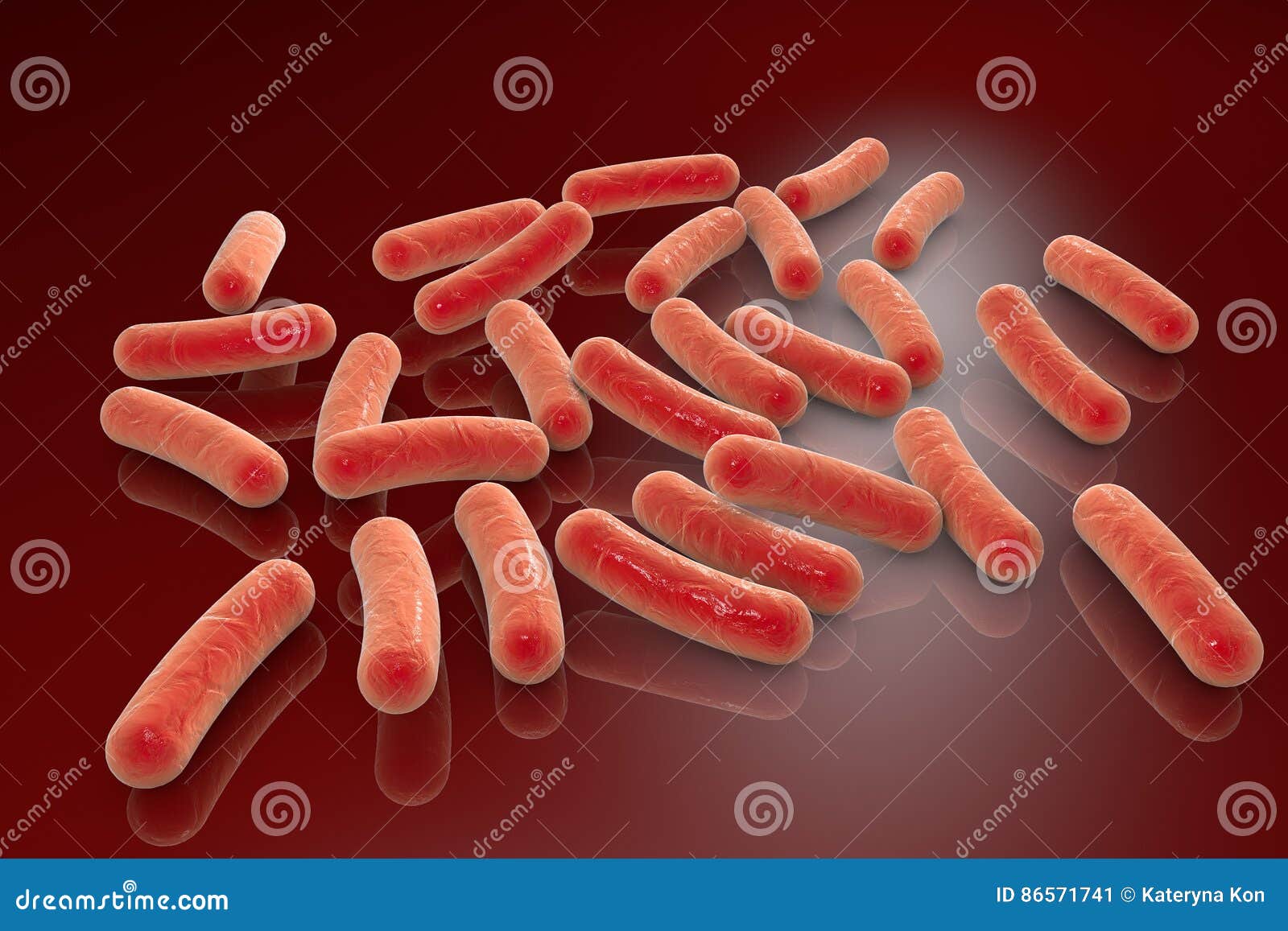 Ejemplo Barra-formado De Las Bacterias Stock de ilustración ...