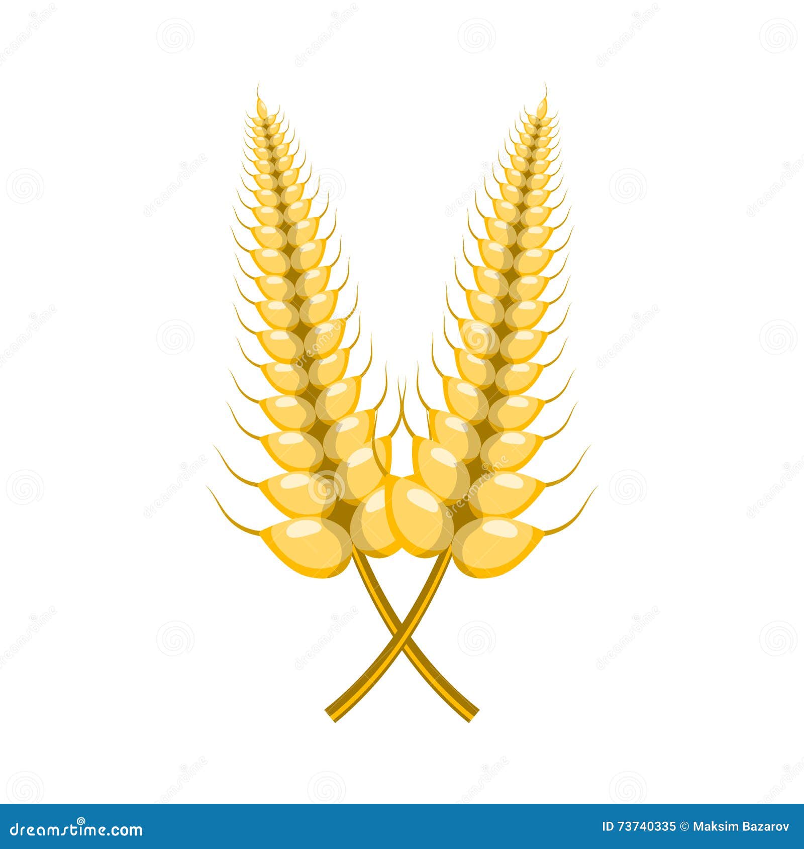 Ejemplo Colorido Del Vector De La Cebada Stock de ilustración ...