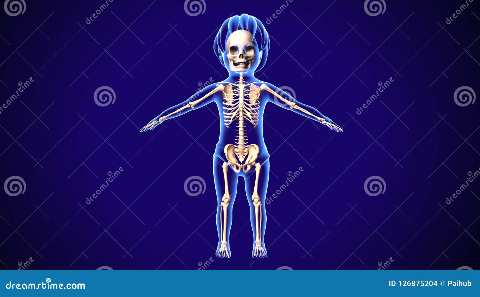 Ejemplo 3d De La Anatomía Del Esqueleto Del Bebé Stock de ilustración ...