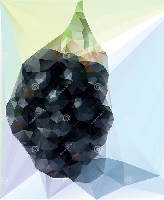 Ejemplo de Blackberry ilustración del vector. Ilustración de oscuro - 48353602