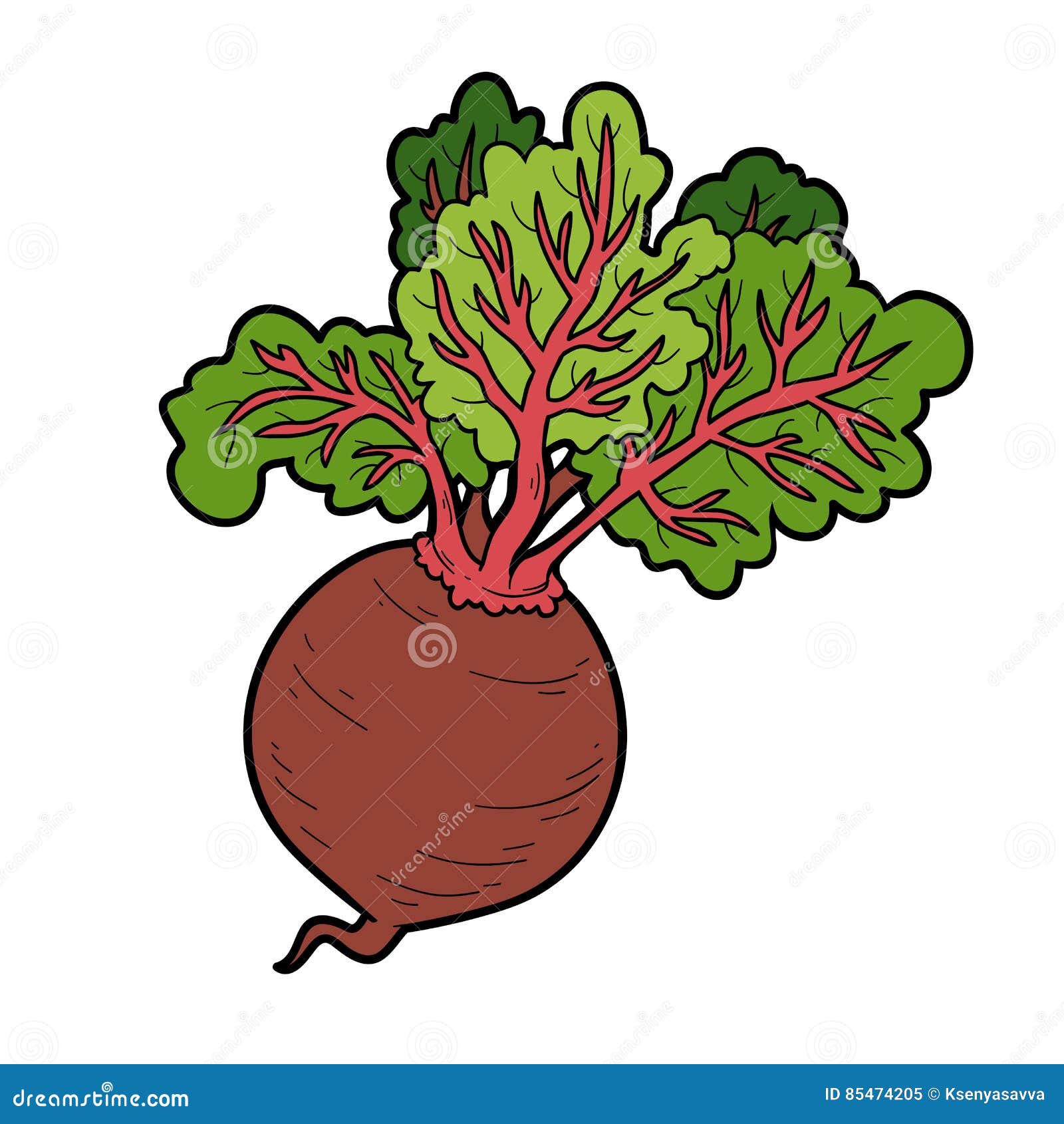 Ejemplo De Color Del Vector, Verduras, Remolacha Ilustración del Vector ...