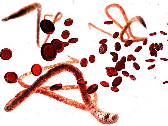 Ejemplo De 3d Digitaces Del Virus De Ebola Stock de ilustración ... Ejemplo De 3d Digitaces Del Virus De Ebola Stock de ilustración ...