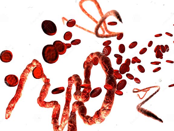 Ejemplo De 3d Digitaces Del Virus De Ebola Stock de ilustración ... Ejemplo De 3d Digitaces Del Virus De Ebola Stock de ilustración ...