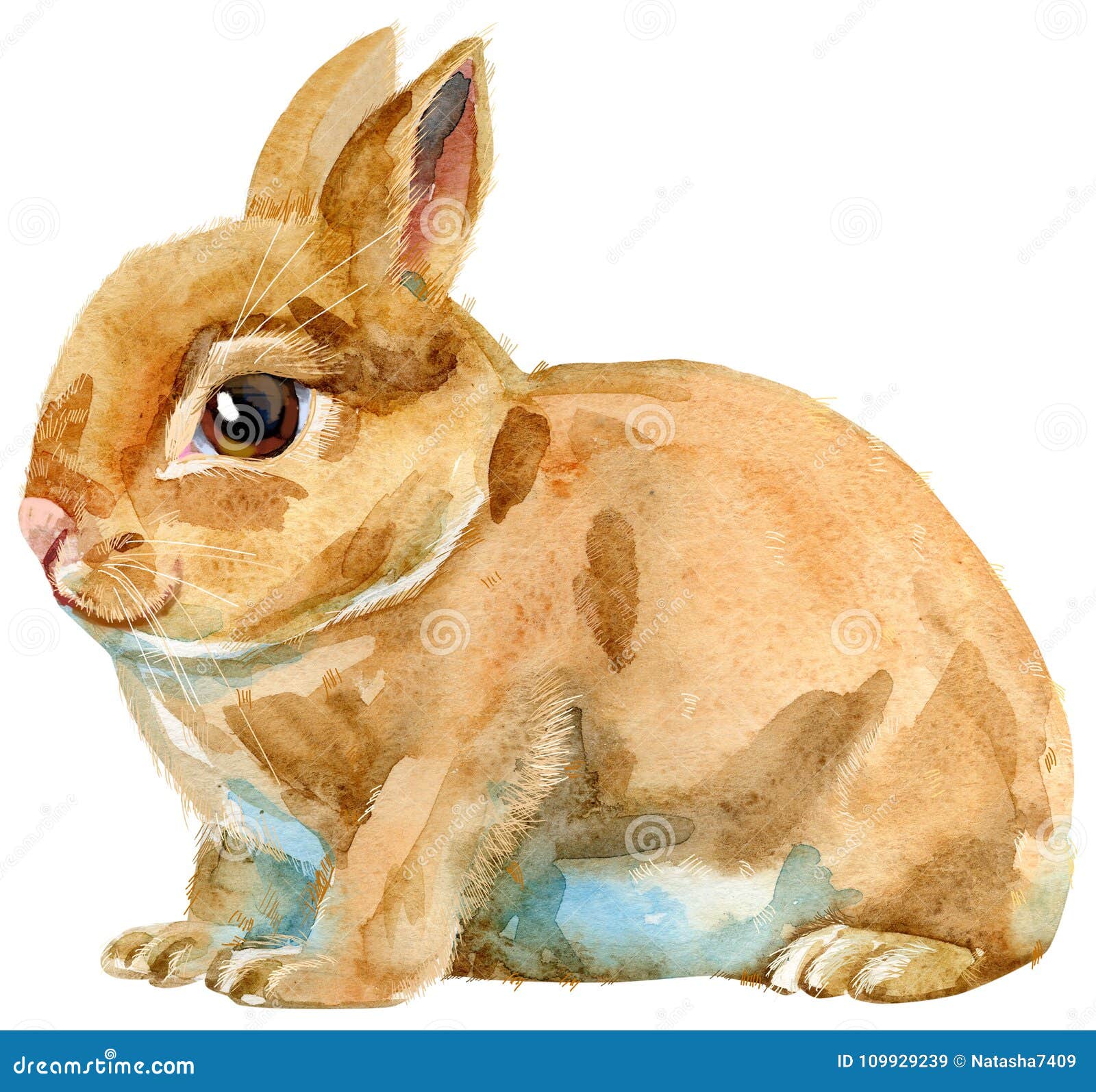 Ejemplo De La Acuarela Del Conejo Beige Stock de ilustración ...