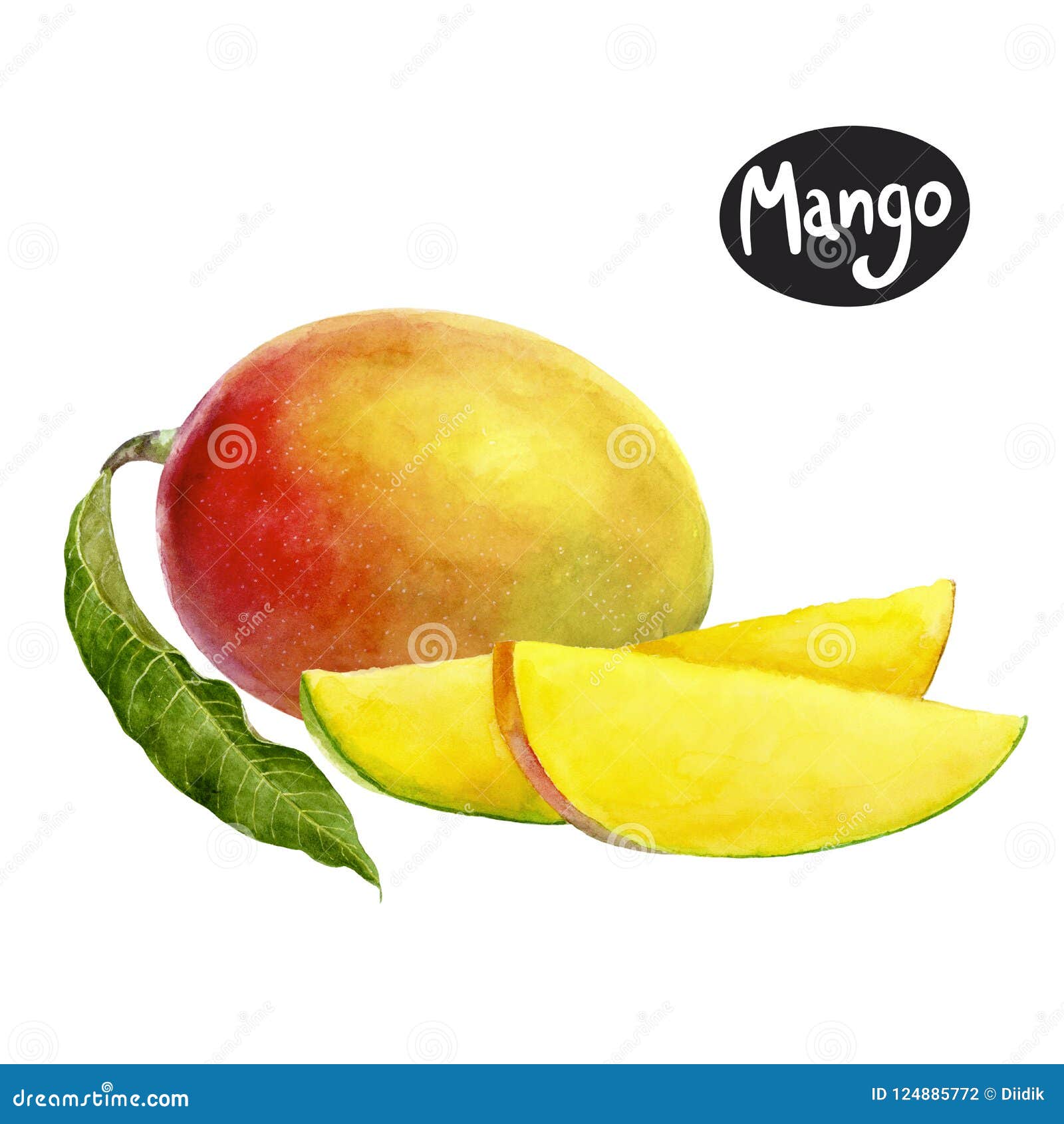 Ejemplo De La Acuarela Del Mango Stock de ilustración - Ilustración de ...