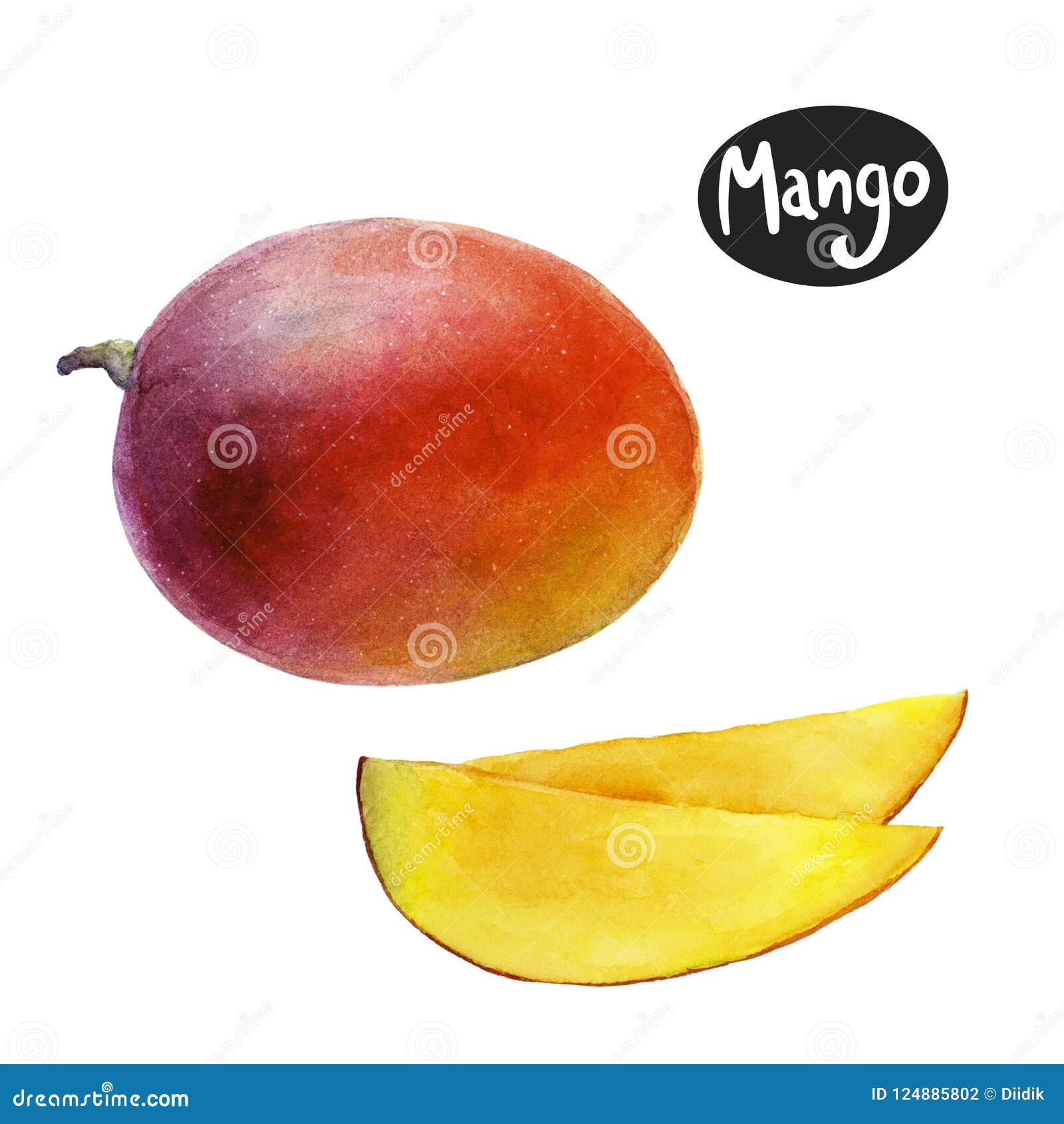 Ejemplo De La Acuarela Del Mango Stock de ilustración - Ilustración de ...