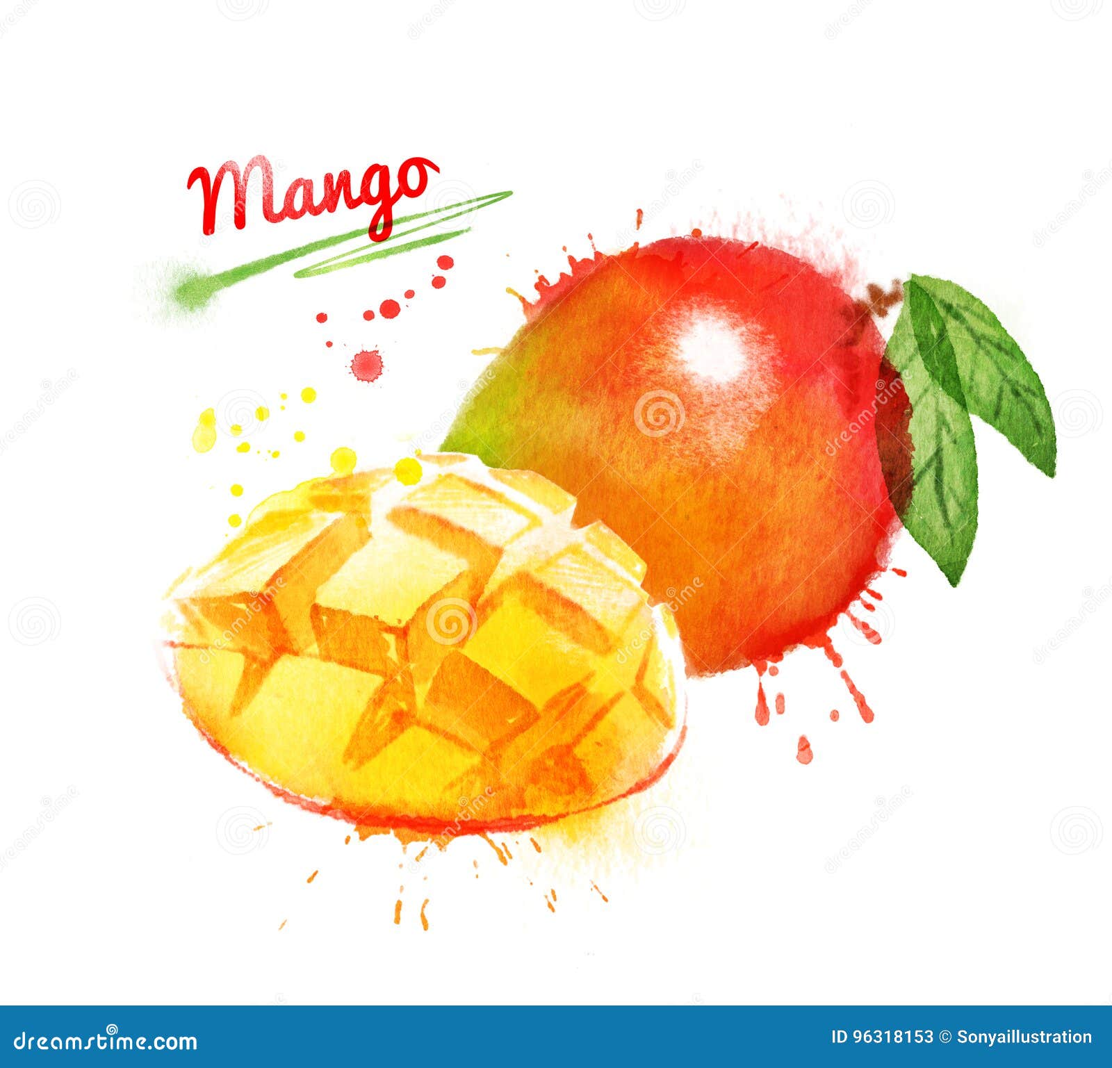 Ejemplo De La Acuarela Del Mango Stock de ilustración - Ilustración de ...