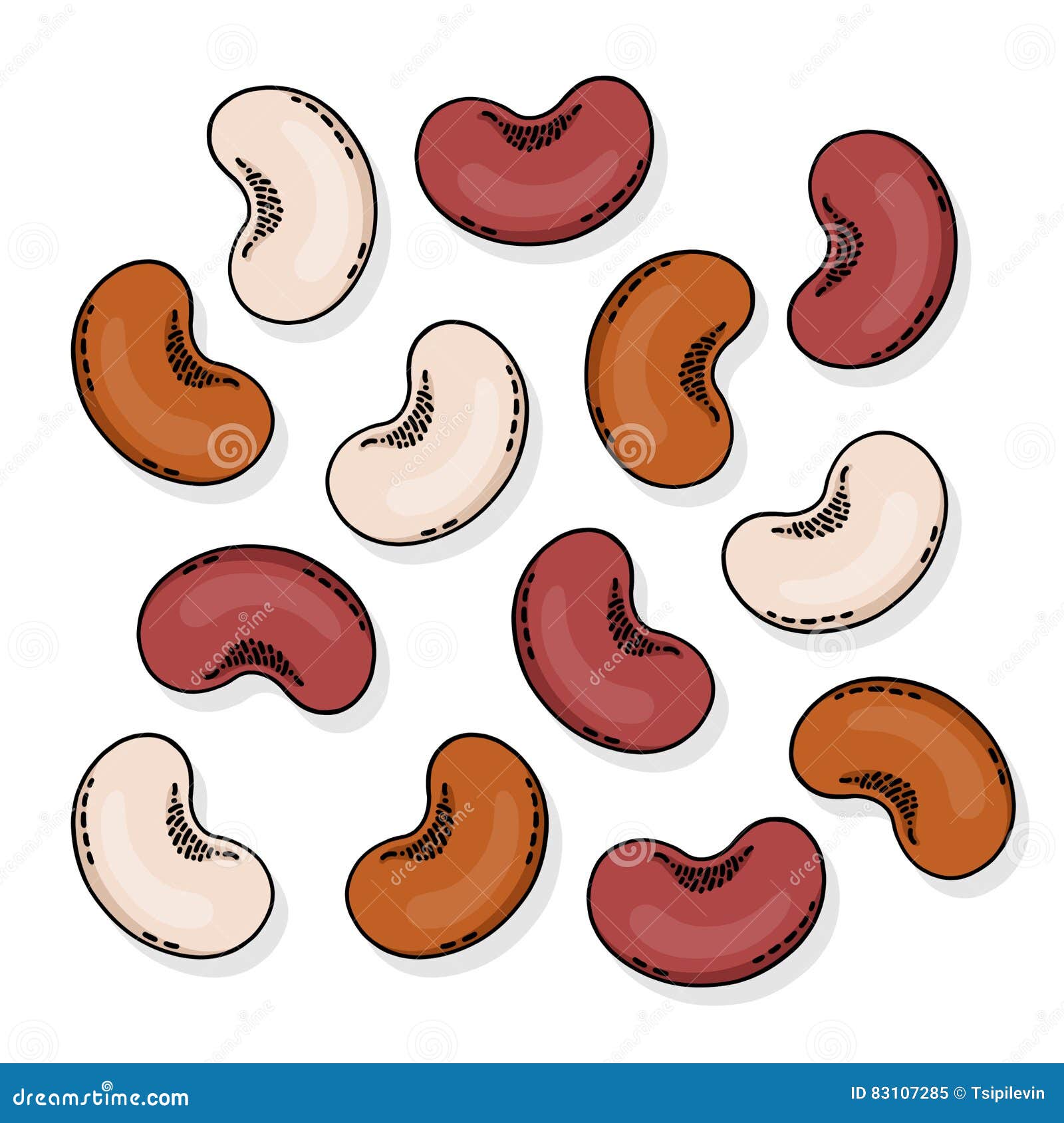 Ejemplo de las habas stock de ilustración. Ilustración de alimento ...