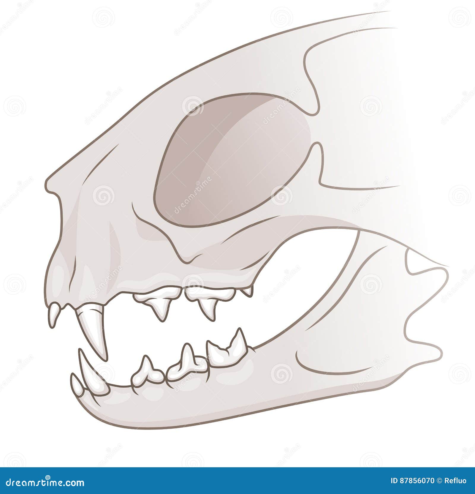 Ejemplo De Los Dientes Del Gato Ilustración del Vector - Ilustración de ...