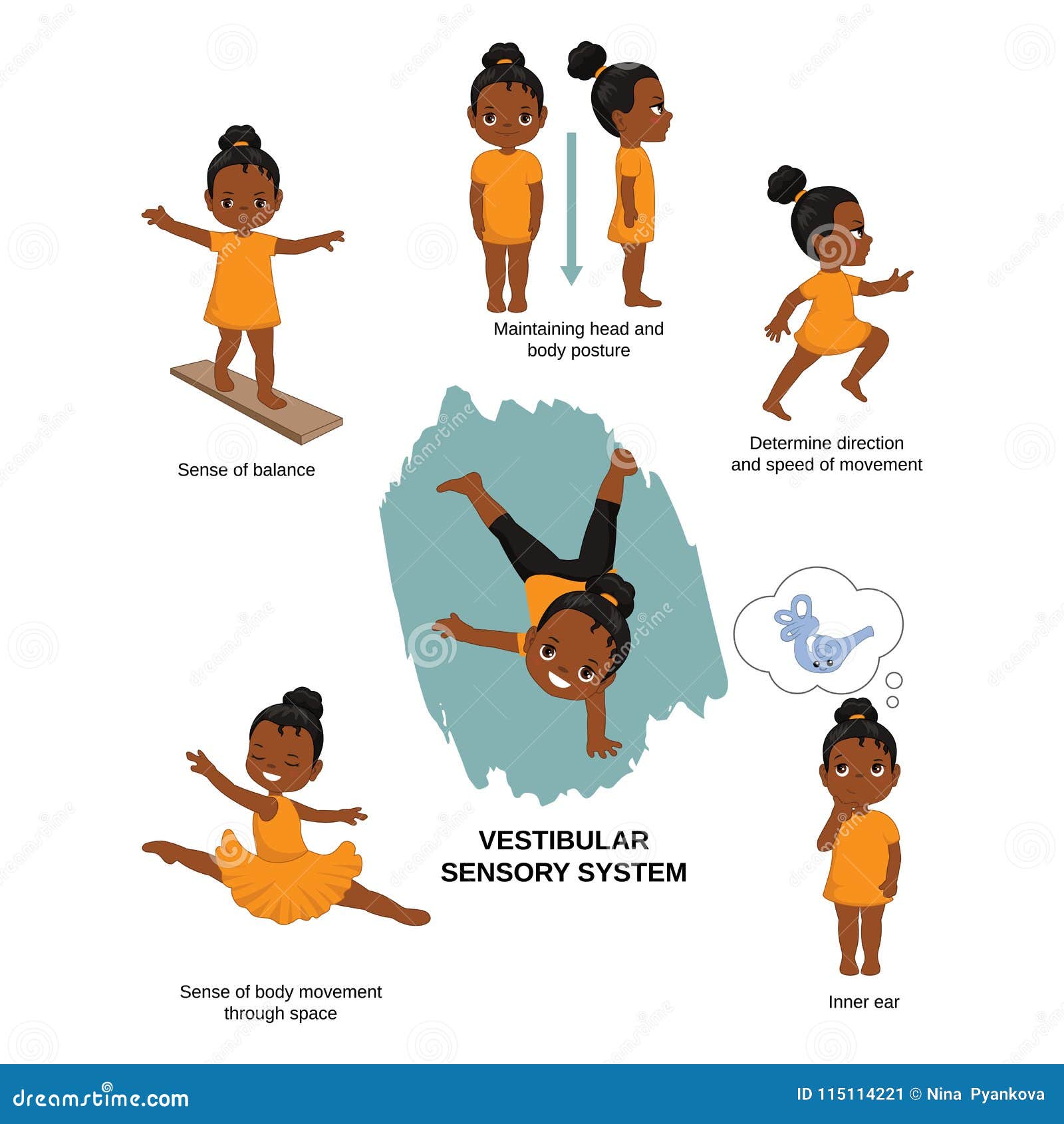 Ejemplo De Sentidos Humanos Ilustración del Vector - Ilustración de ...