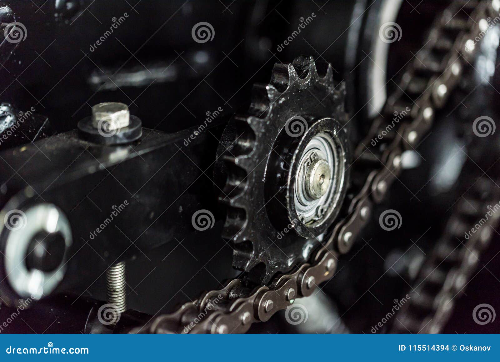 Ejemplo Del Engranaje Y Del Eje Impulsor De Cadena Foto de archivo ...