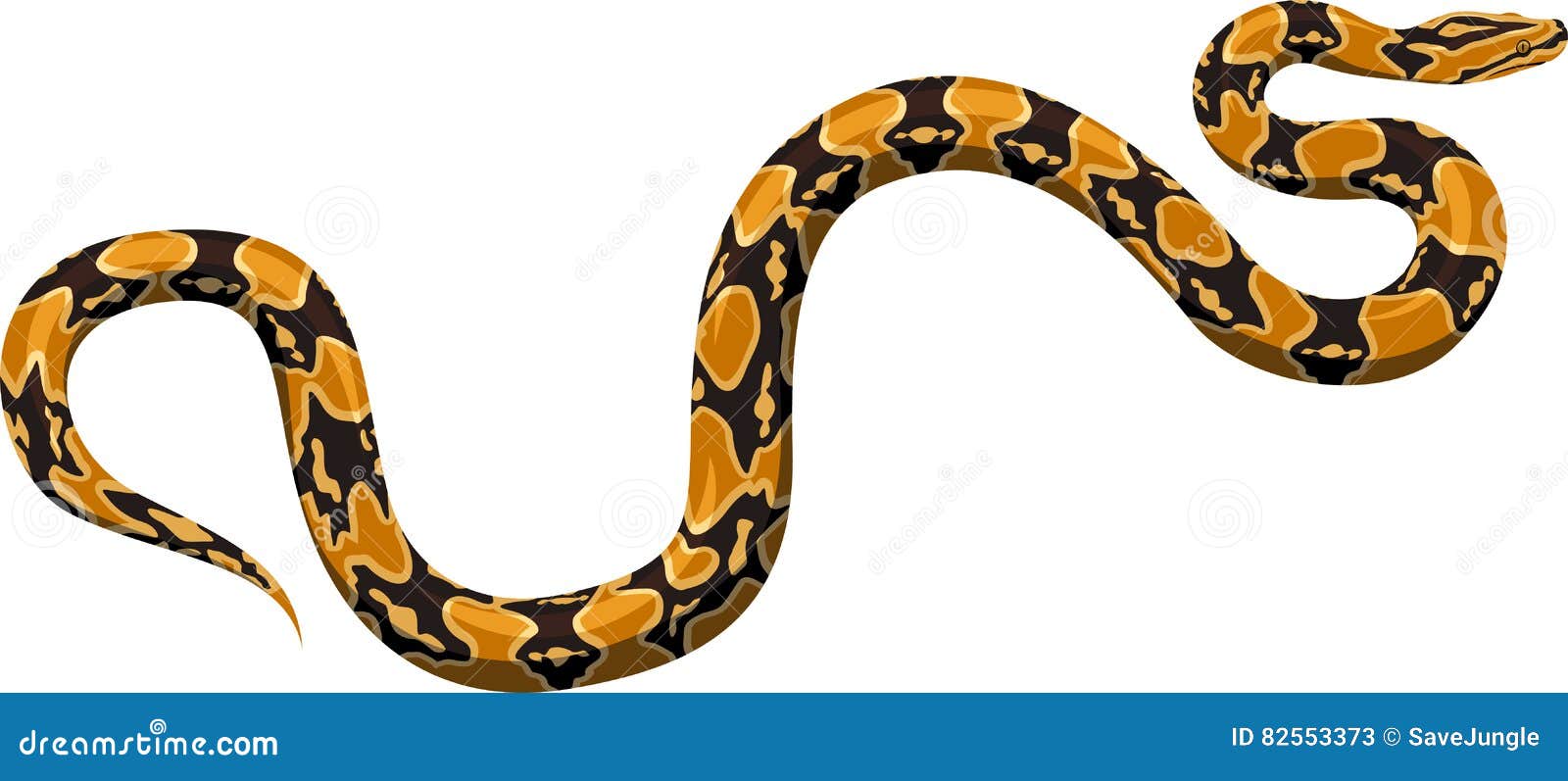 Ejemplo Del Pitón Del Vector Aislado Ilustración del Vector ...