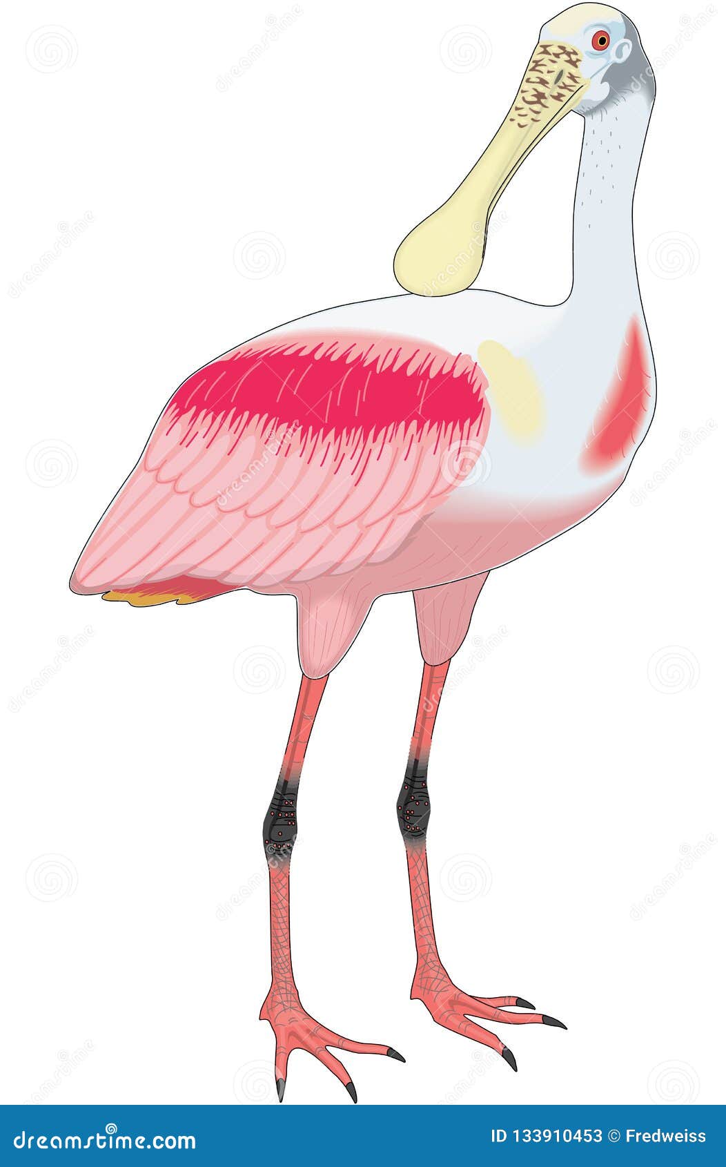 Rosear Ilustraciones Stock, Vectores, Y Clipart – (1,229 Ilustraciones ...