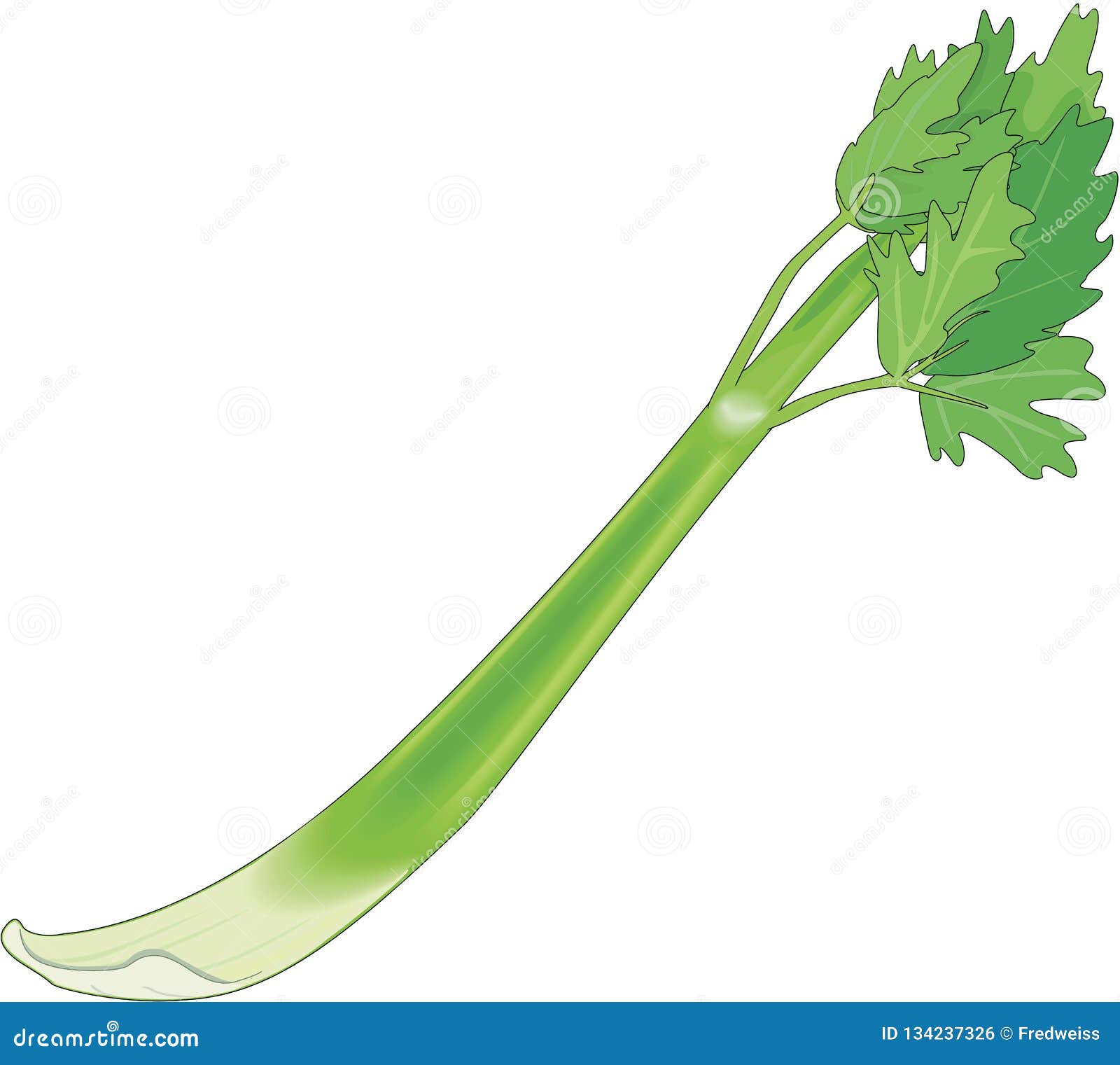 Ejemplo Del Vector Del Apio Ilustración del Vector - Ilustración de ...