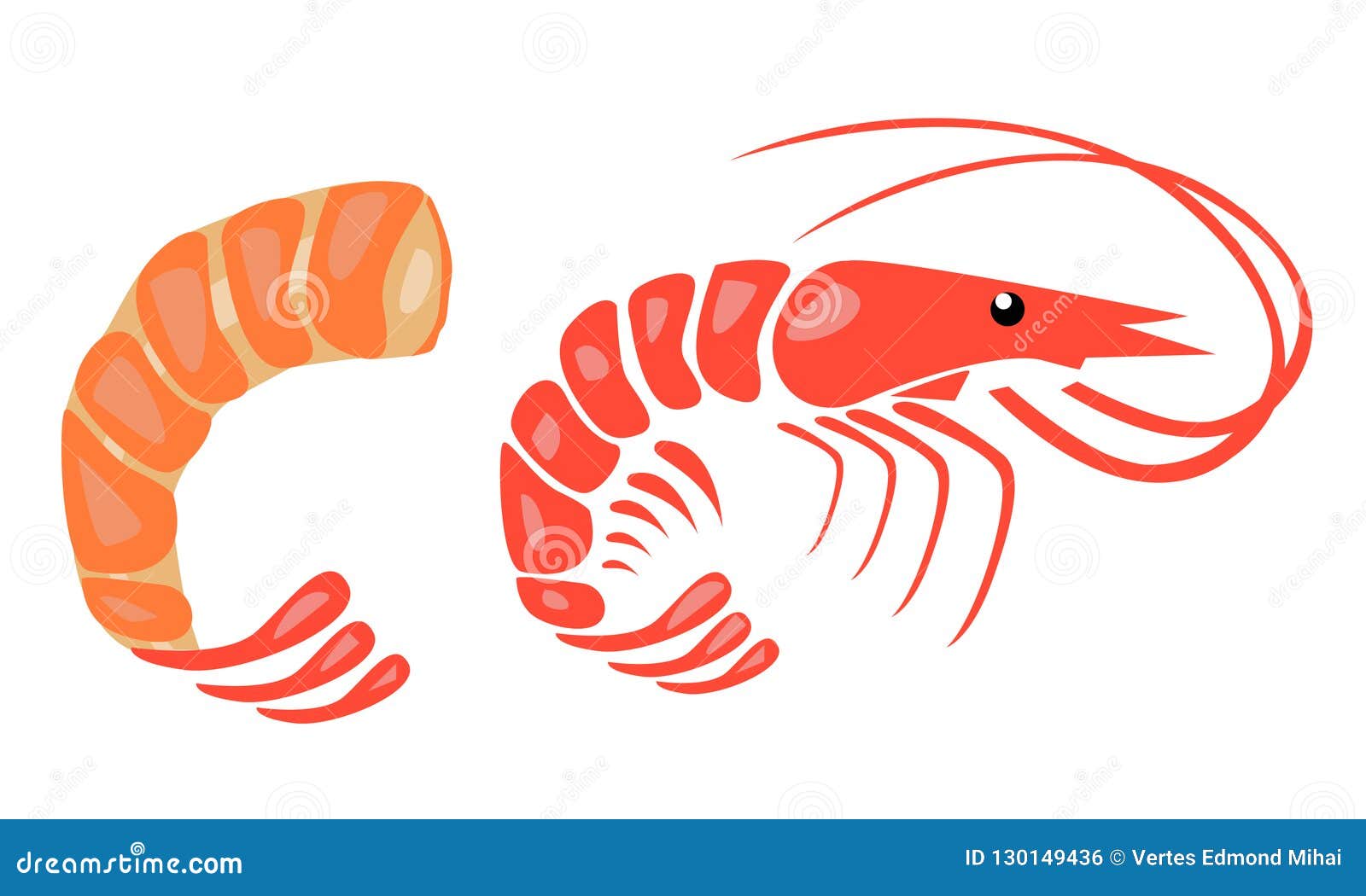 Ejemplo Del Vector Del Camarón Ilustración del Vector - Ilustración de ...