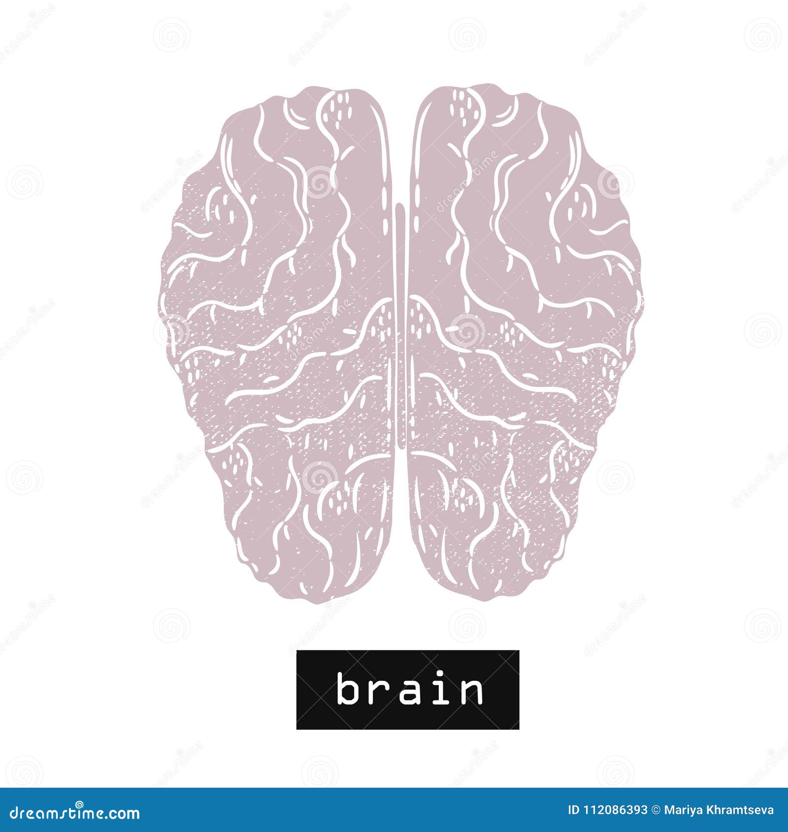 Ejemplo Del Vector Del Cerebro Ilustración del Vector - Ilustración de ...