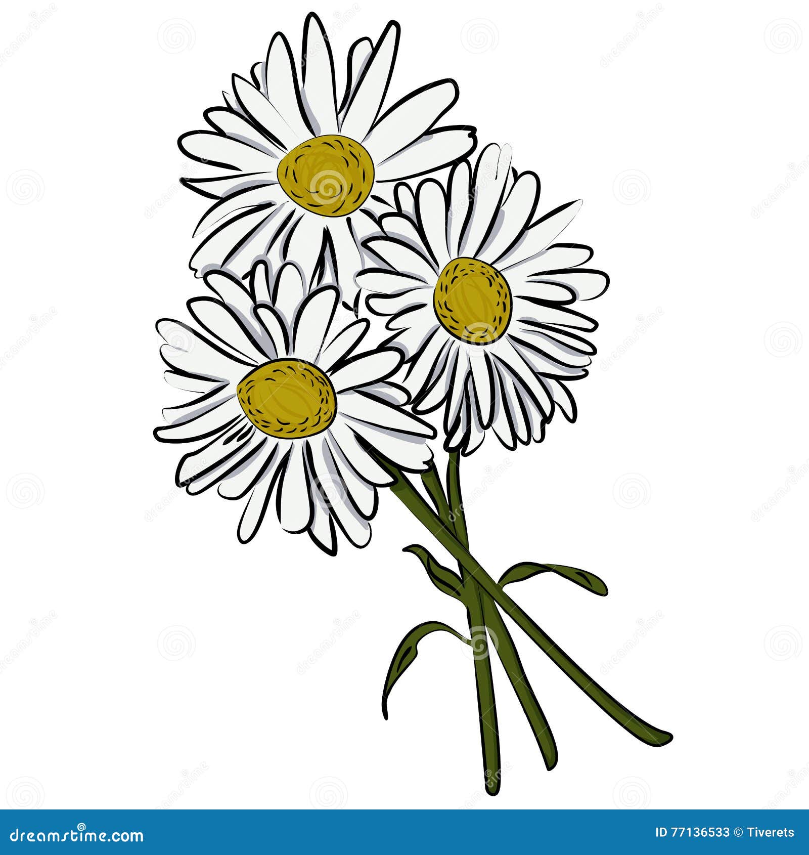 Vectordeflordemanzanilla