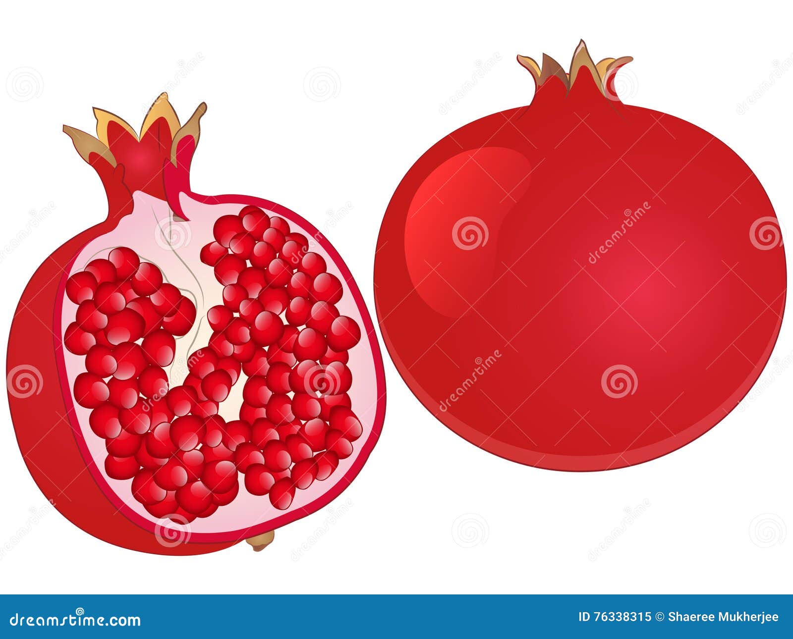 Ejemplo Del Vector De La Granada Ilustración del Vector - Ilustración ...