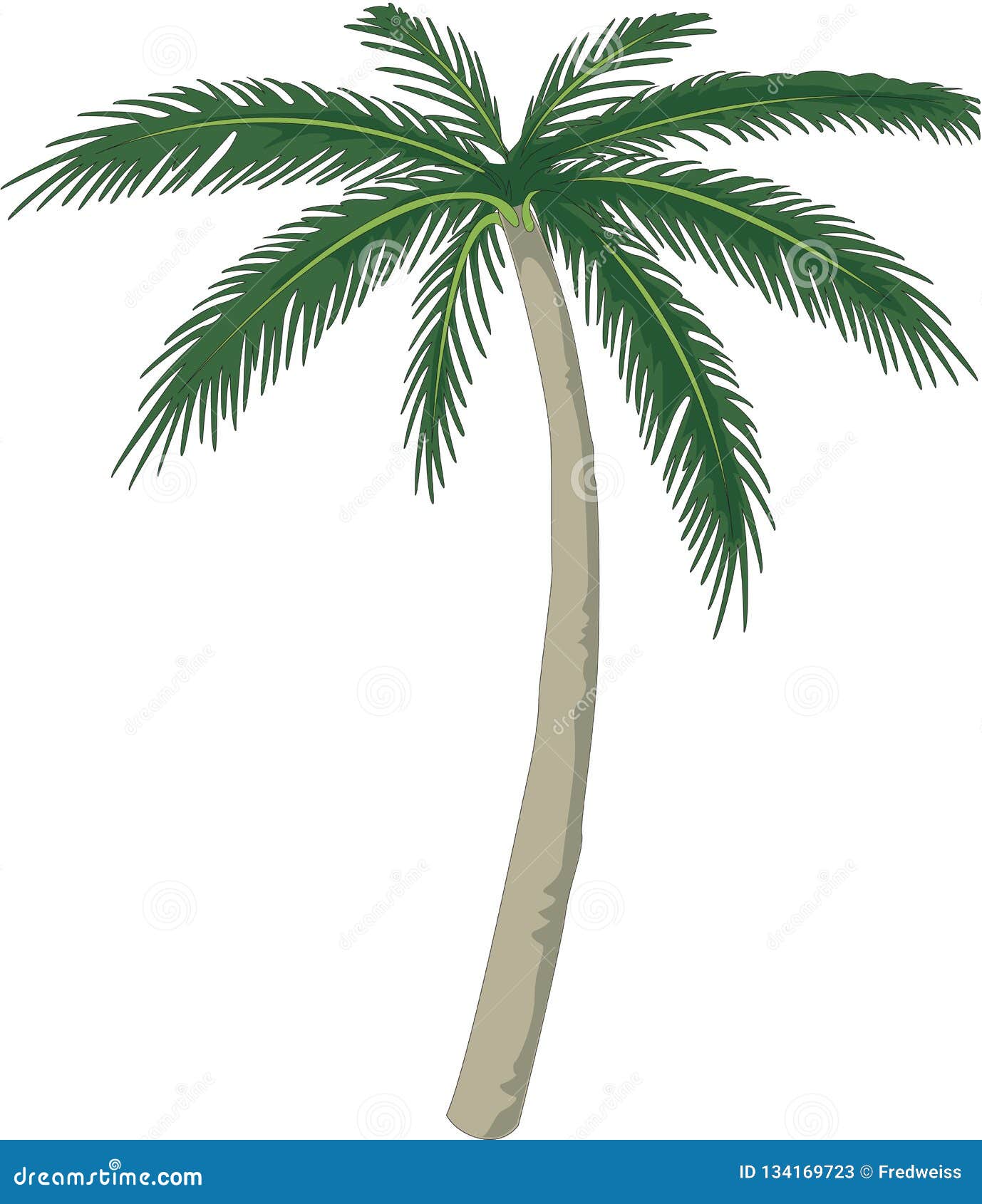 Ejemplo Del Vector De La Palmera Ilustración del Vector - Ilustración ...