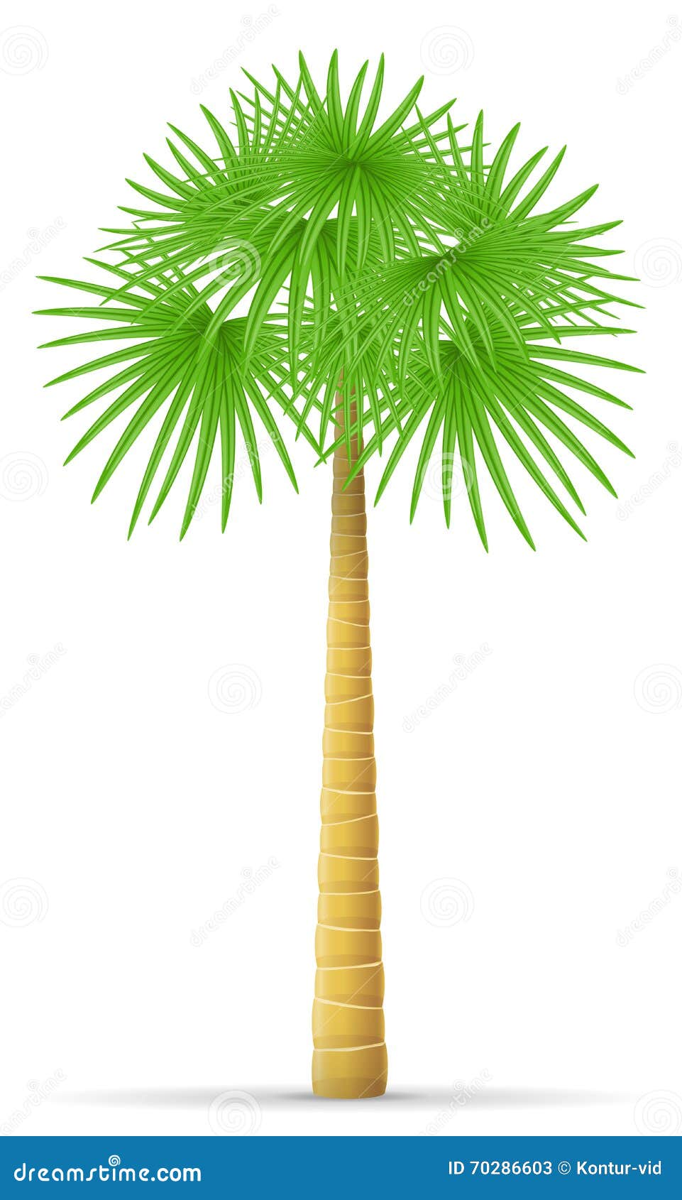 Ejemplo Del Vector De La Palmera Ilustración del Vector - Ilustración ...