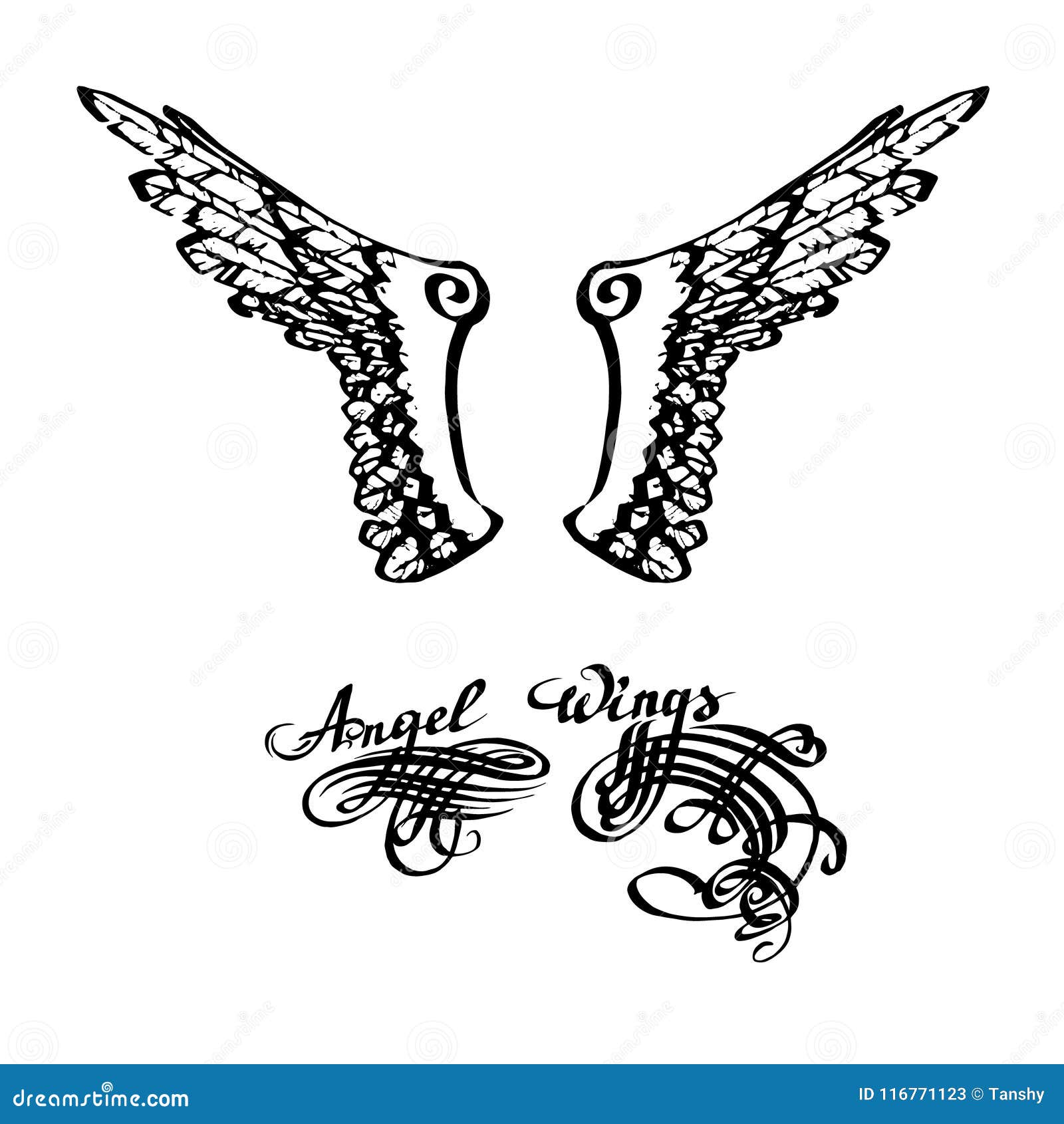 Ejemplo Del Vector De Las Alas En Letras Stock de ilustración ...