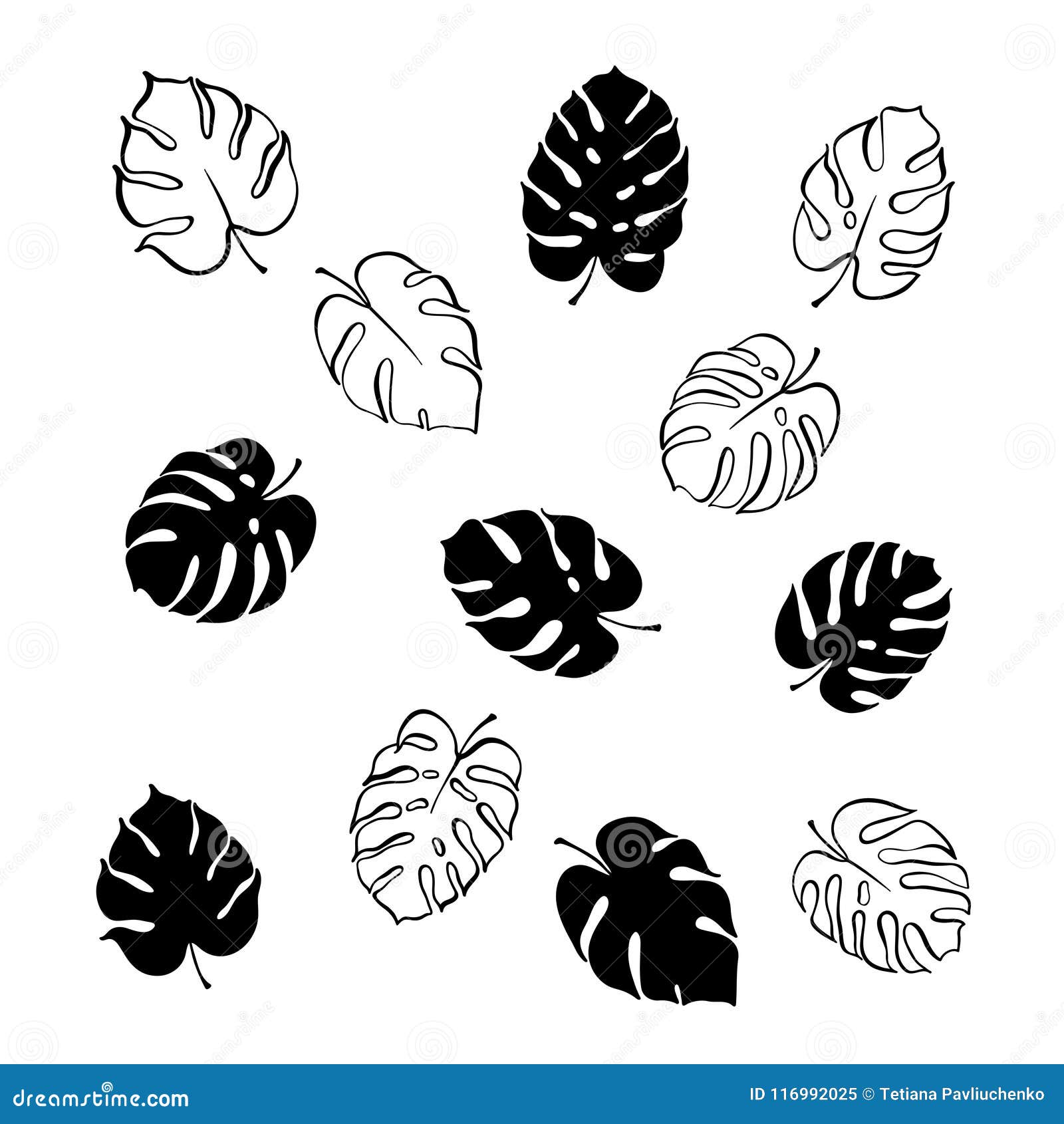 Ejemplo Del Vector De Las Hojas Del Monstera Ilustración del Vector ...