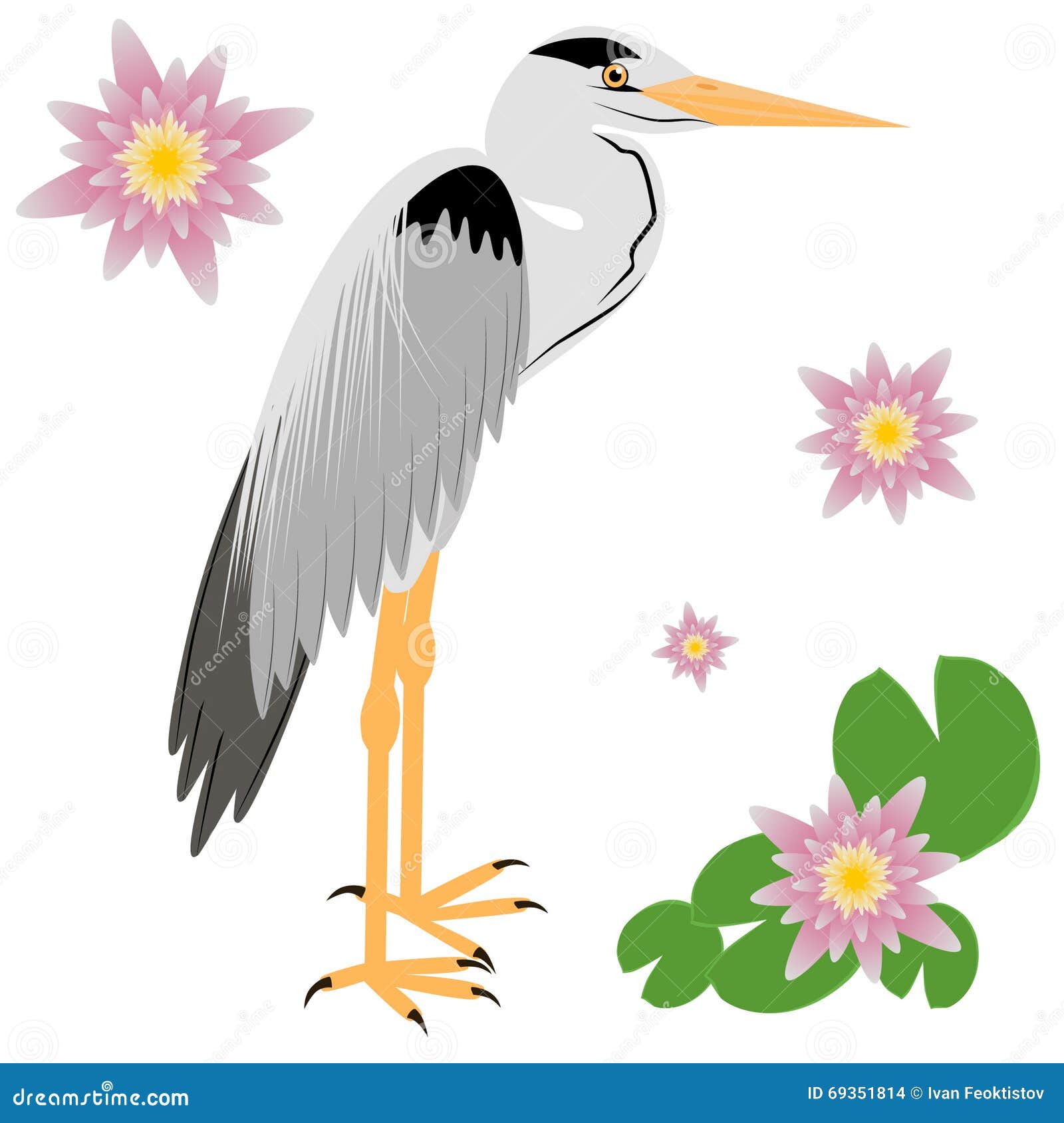 Ejemplo Del Vector De Una Garza Ilustración del Vector - Ilustración de ...