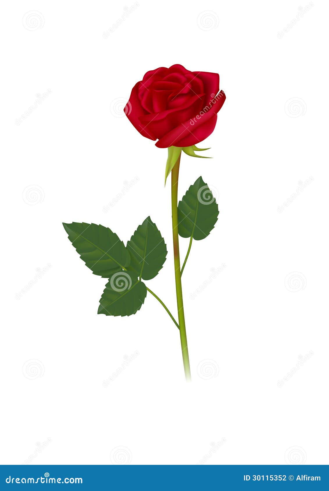 Rose ilustración del vector. Ilustración de vector, icono - 30115352