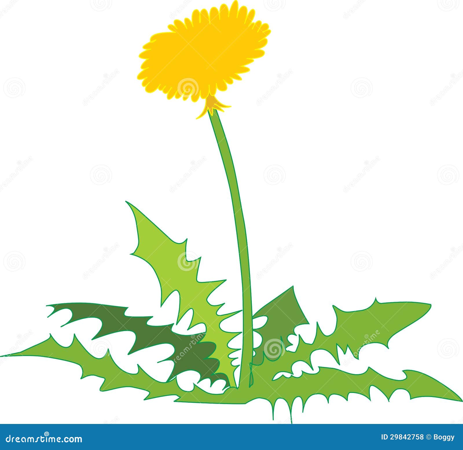 Diente de león ilustración del vector. Ilustración de conceptos - 29842758